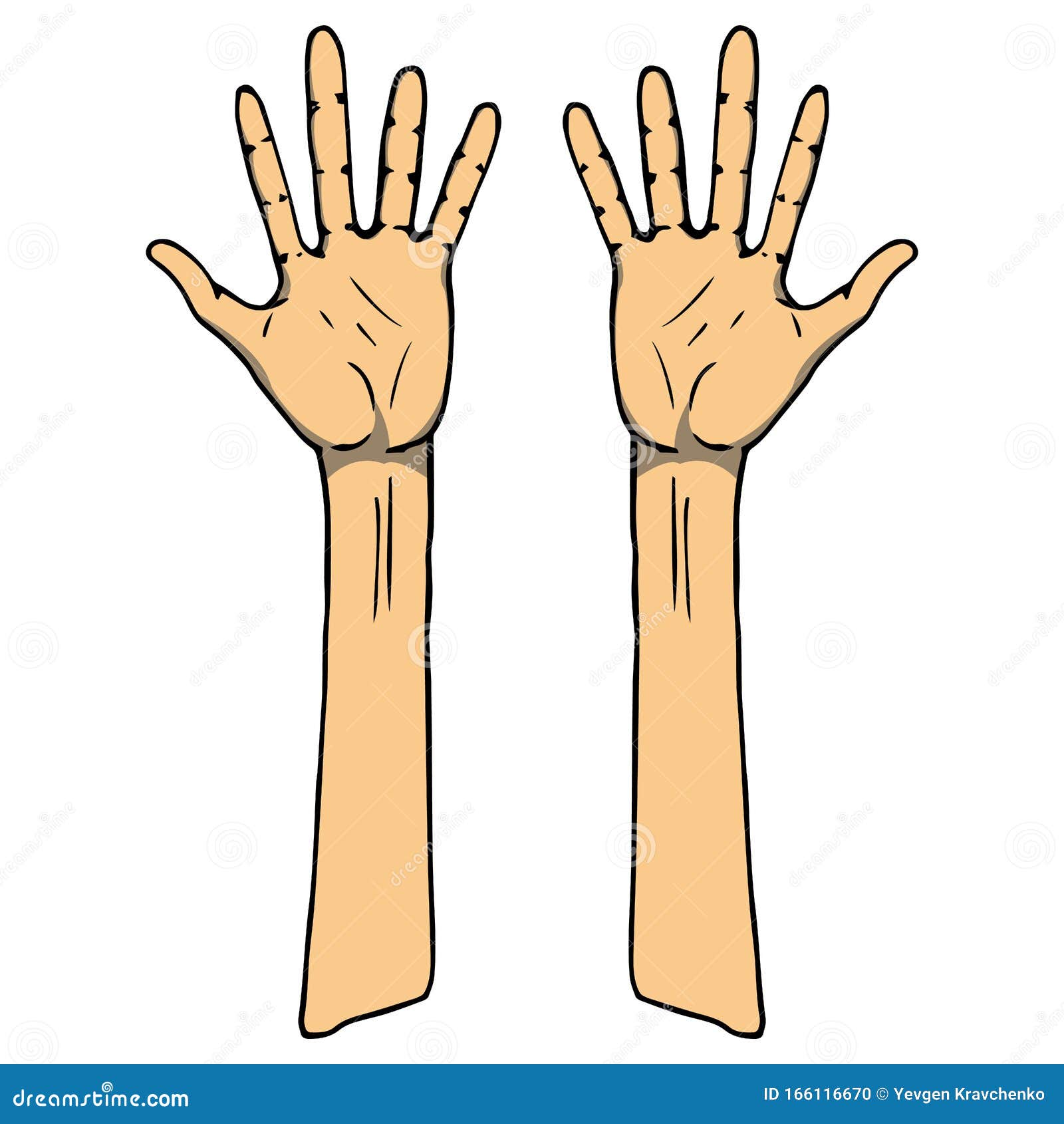 Two Palm Icon. Vector Human Hand Palm. Hand Drawn Arm Stock ...