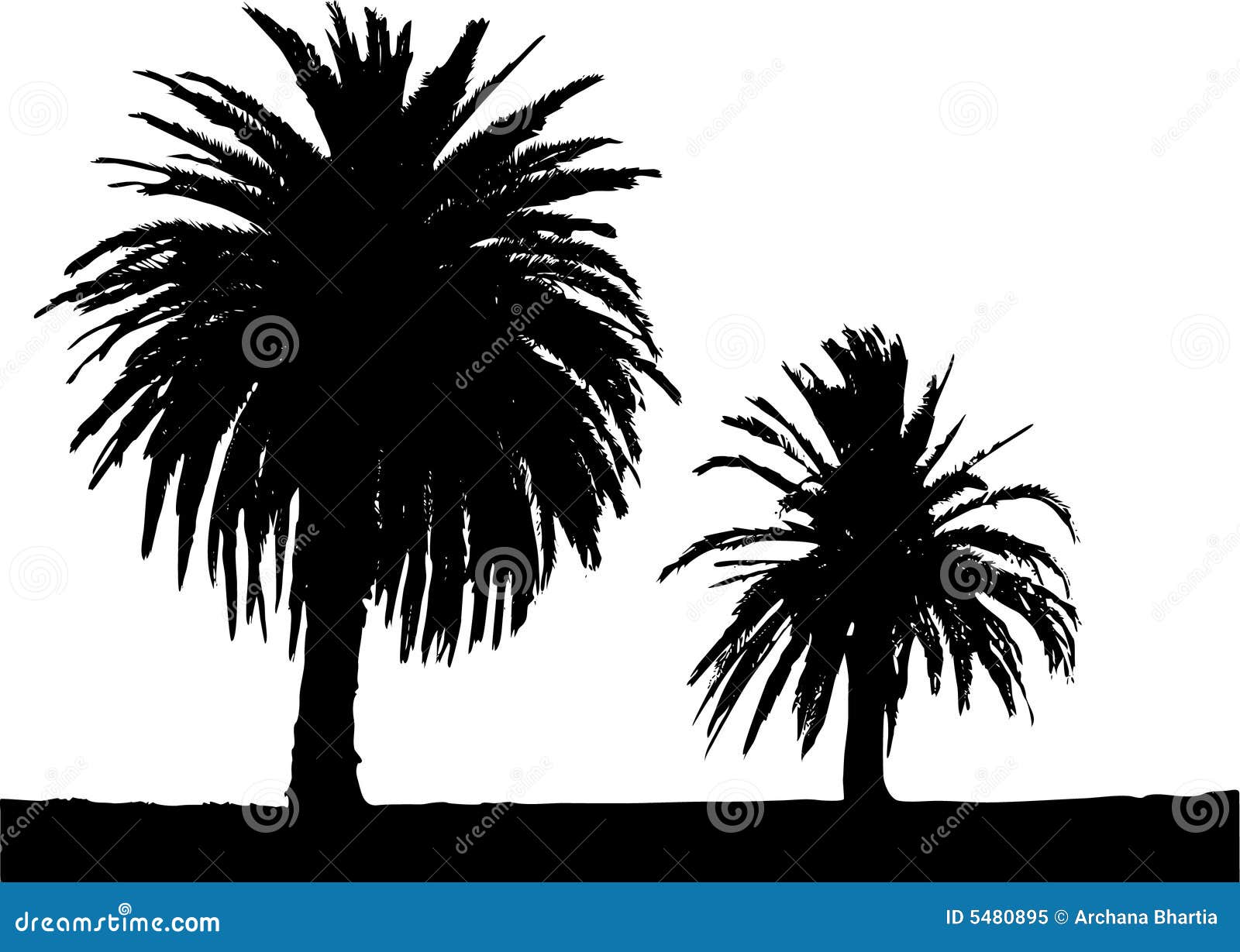 Two palm trees stock vector. Illustration of tropical - 5480895