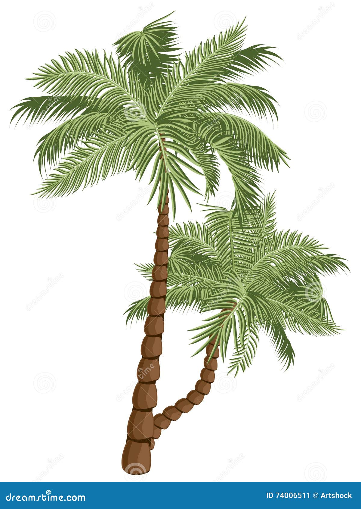 Two Palm Trees stock vector. Illustration of tropical - 74006511
