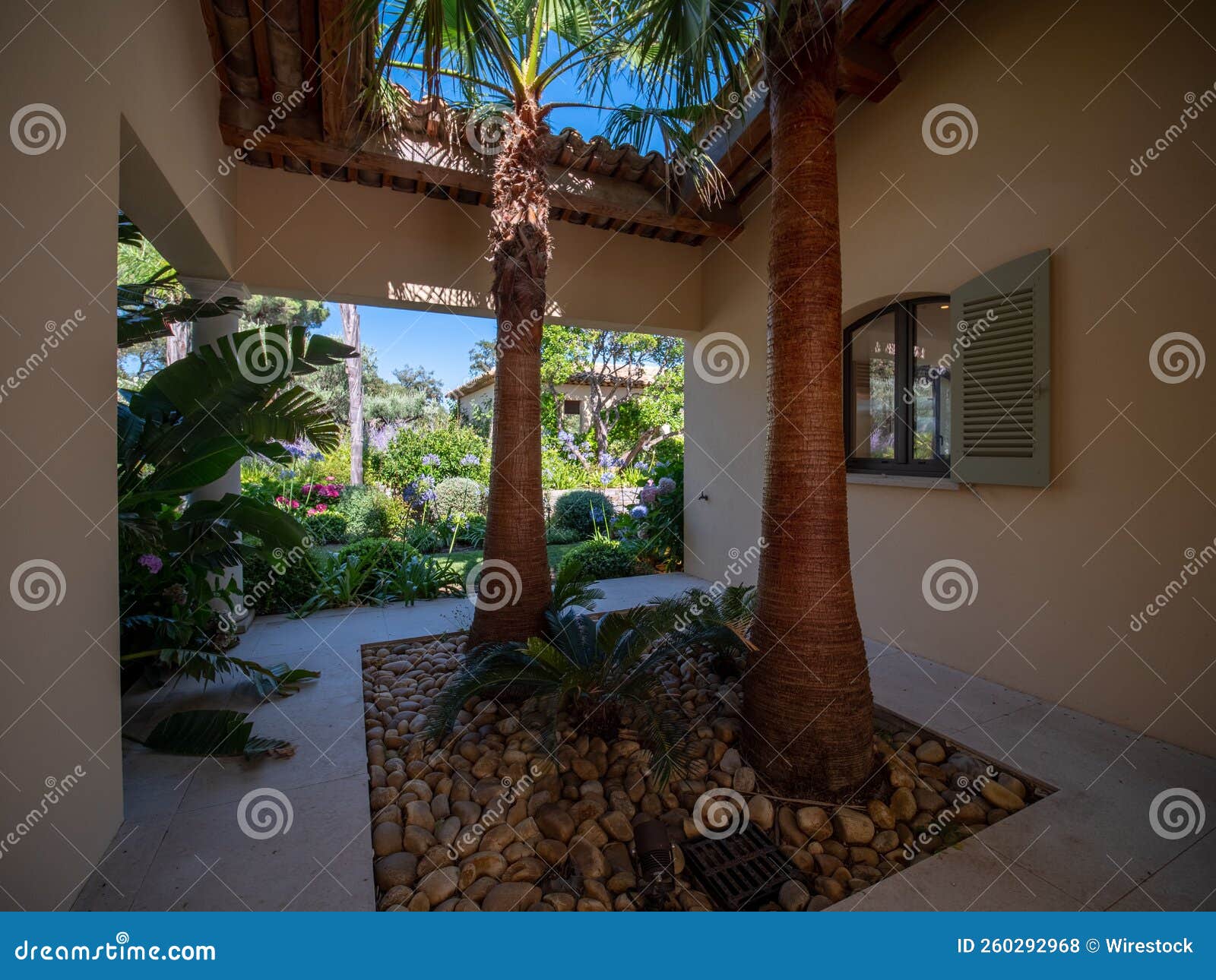 Two Palm Trees Growing Inside a Building with an Open Ceiling and a ...