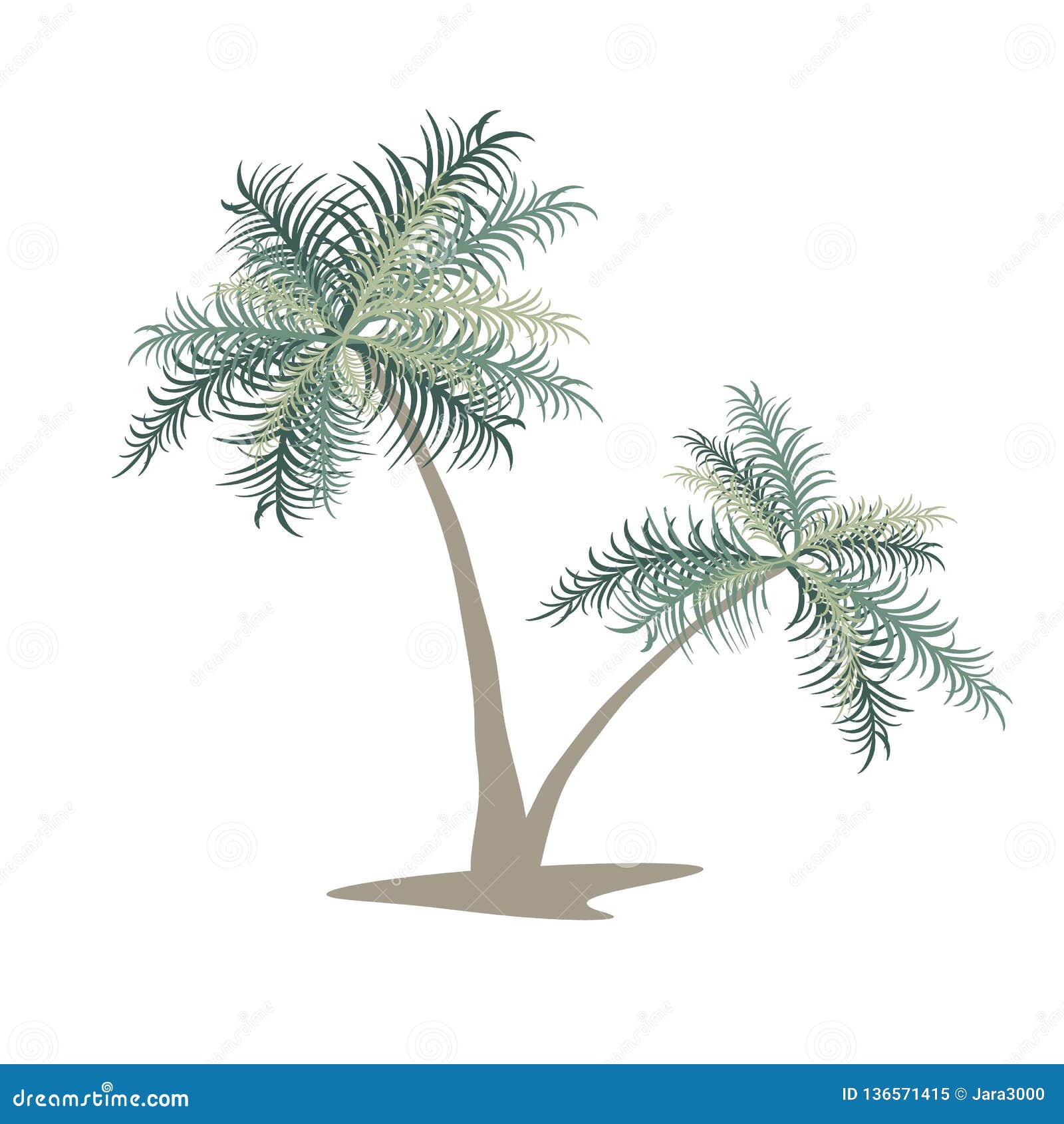 Two Palm Trees. Isolated Vector Image Stock Vector - Illustration of ...