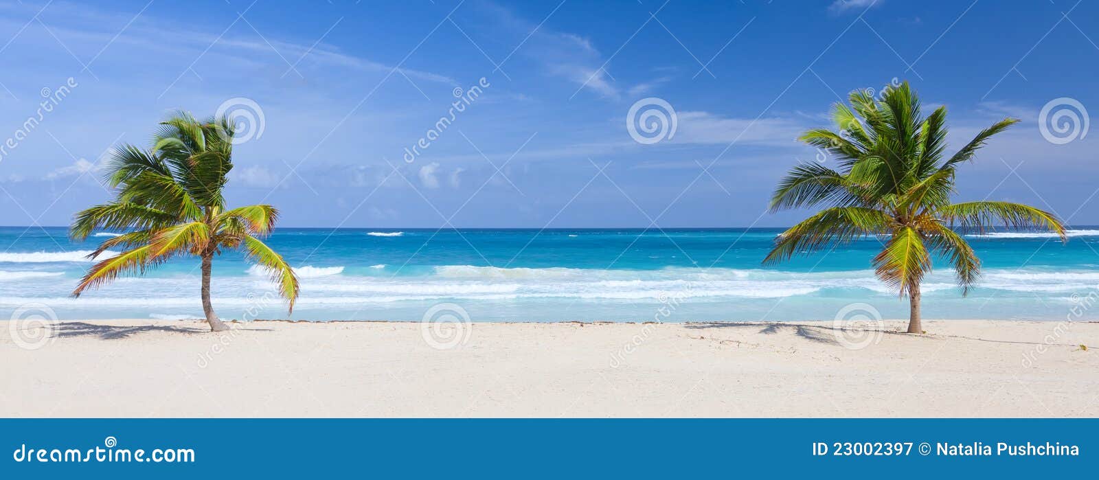Two Palm Trees on the Tropical Beach Stock Image - Image of romantic ...
