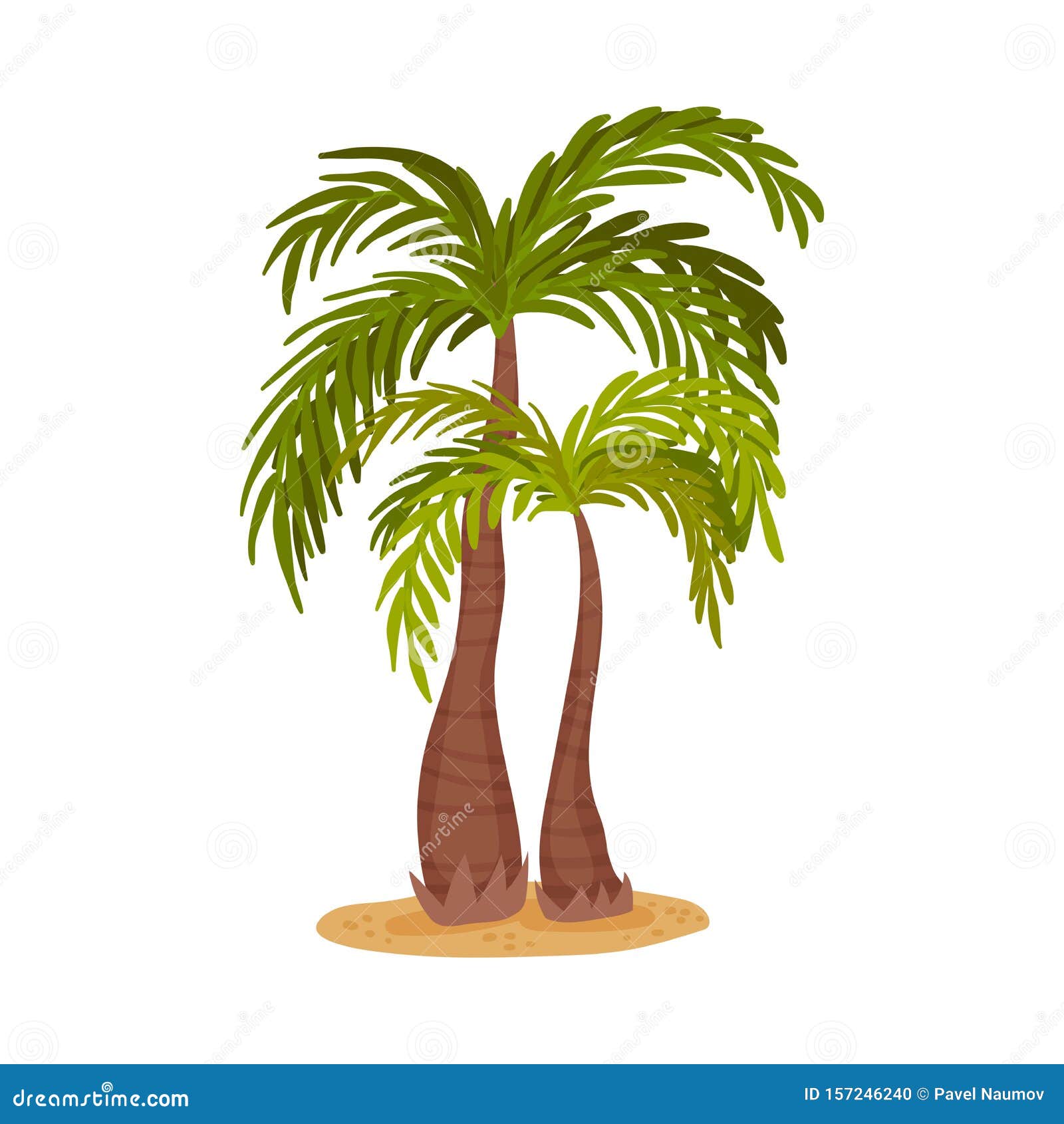 Two Palm Trees. Vector Illustration on a White Background. Stock Vector ...