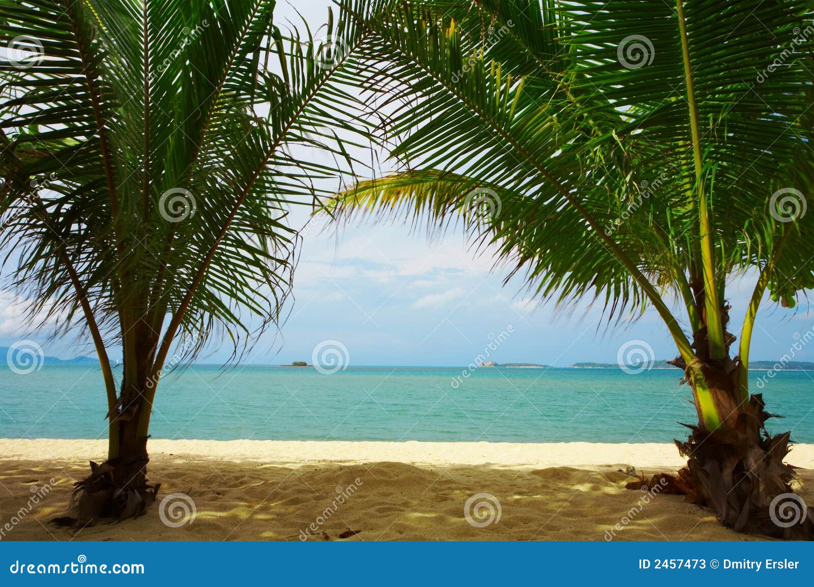 Two palms stock image. Image of waterside, travel, tropic - 2457473