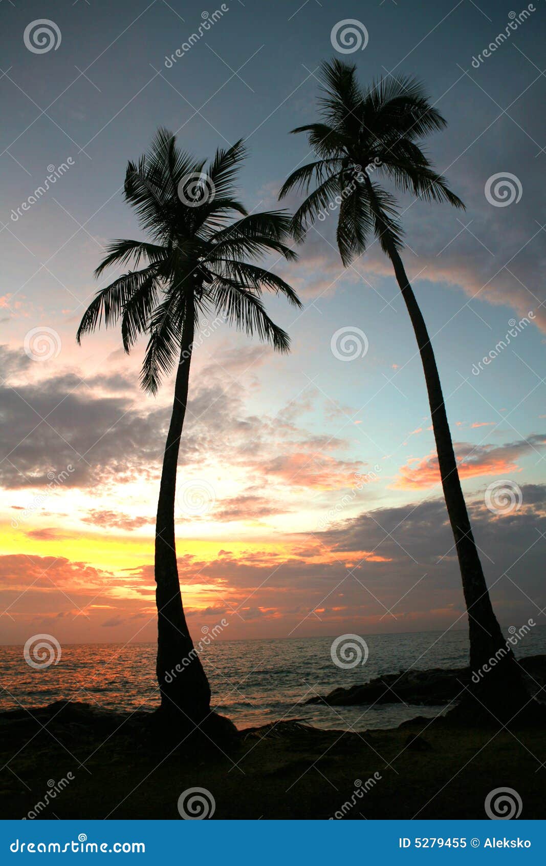 Two palms stock image. Image of evening, island, destinations - 5279455