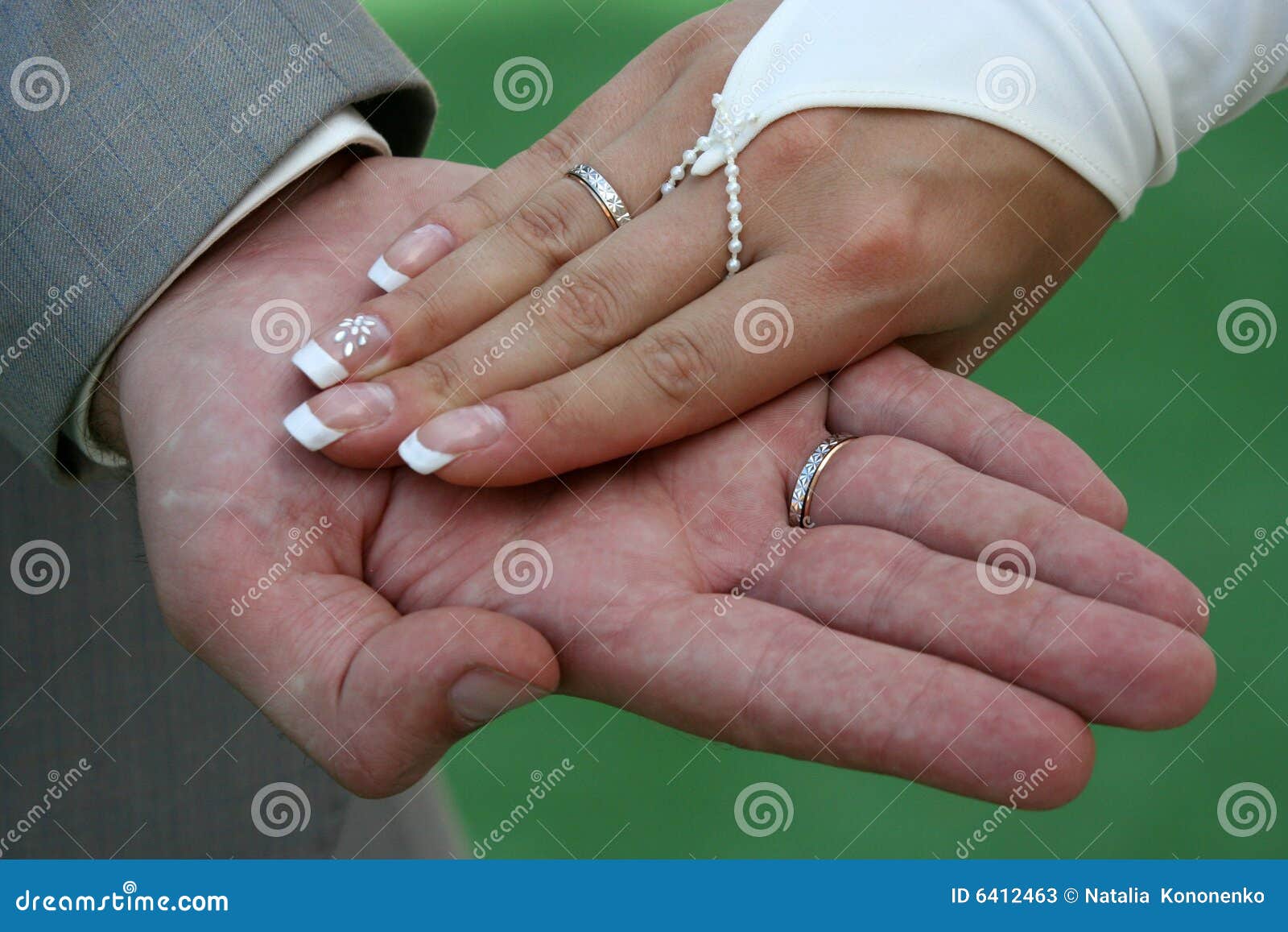 Two Palms. Picture Image: 6412463