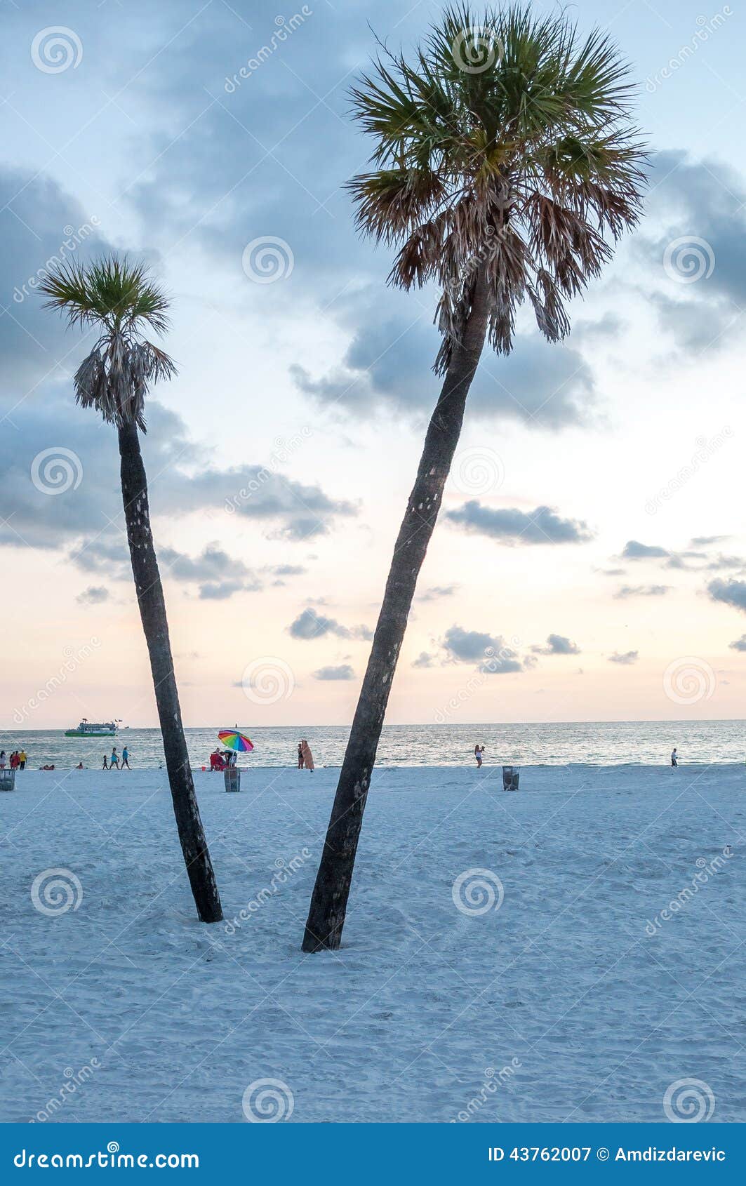 Two Palms stock image. Image of palms, buildings, dangerous - 43762007
