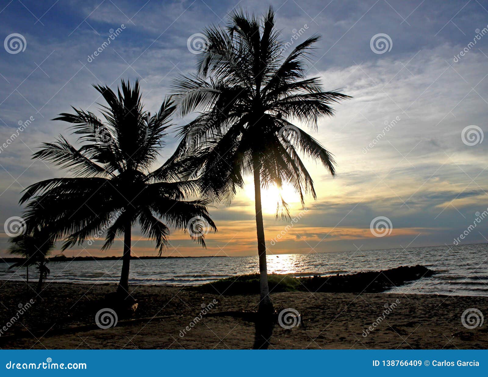 Two palms at the beach stock image. Image of holiday - 138766409