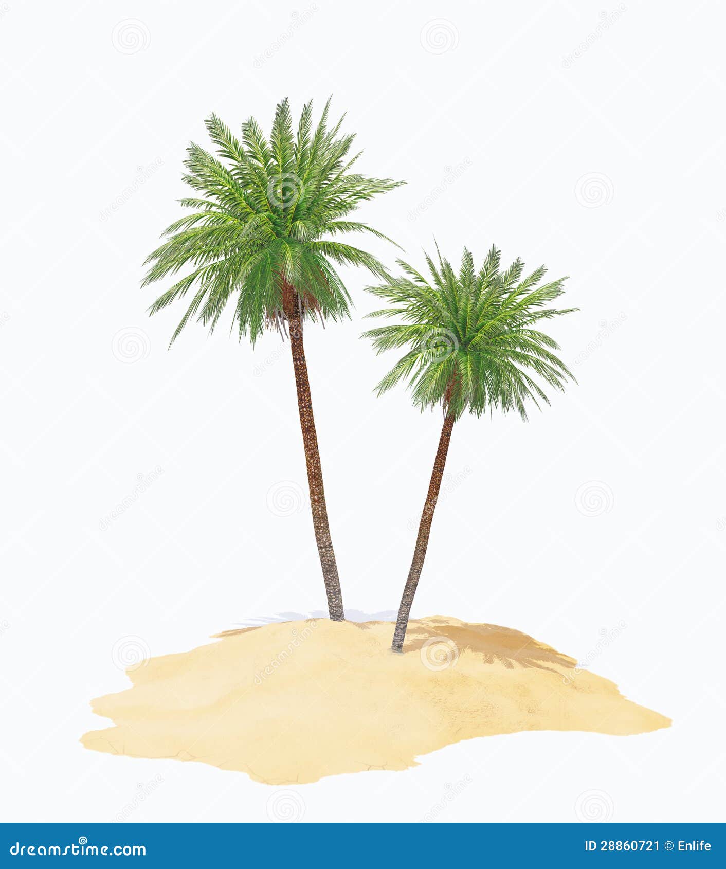 Two palms on island stock illustration. Illustration of sunny - 28860721