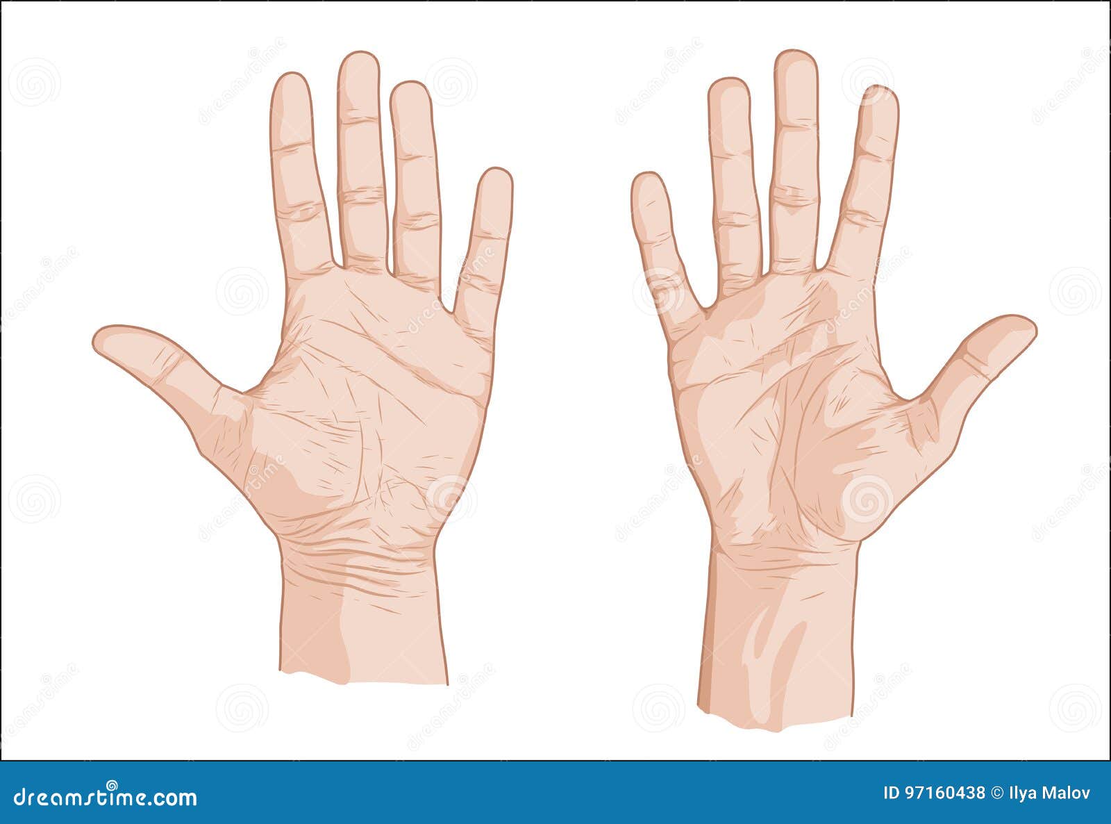 Two palms sketch stock vector. Illustration of color - 97160438