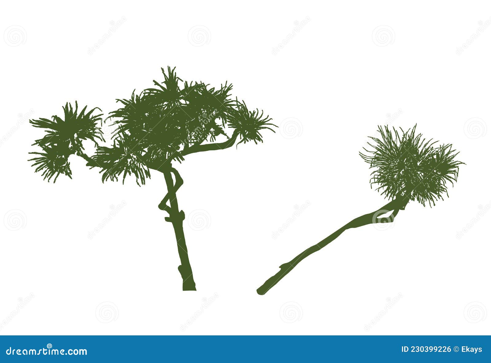 Two Pandanus Tree on White Background Stock Vector - Illustration of ...