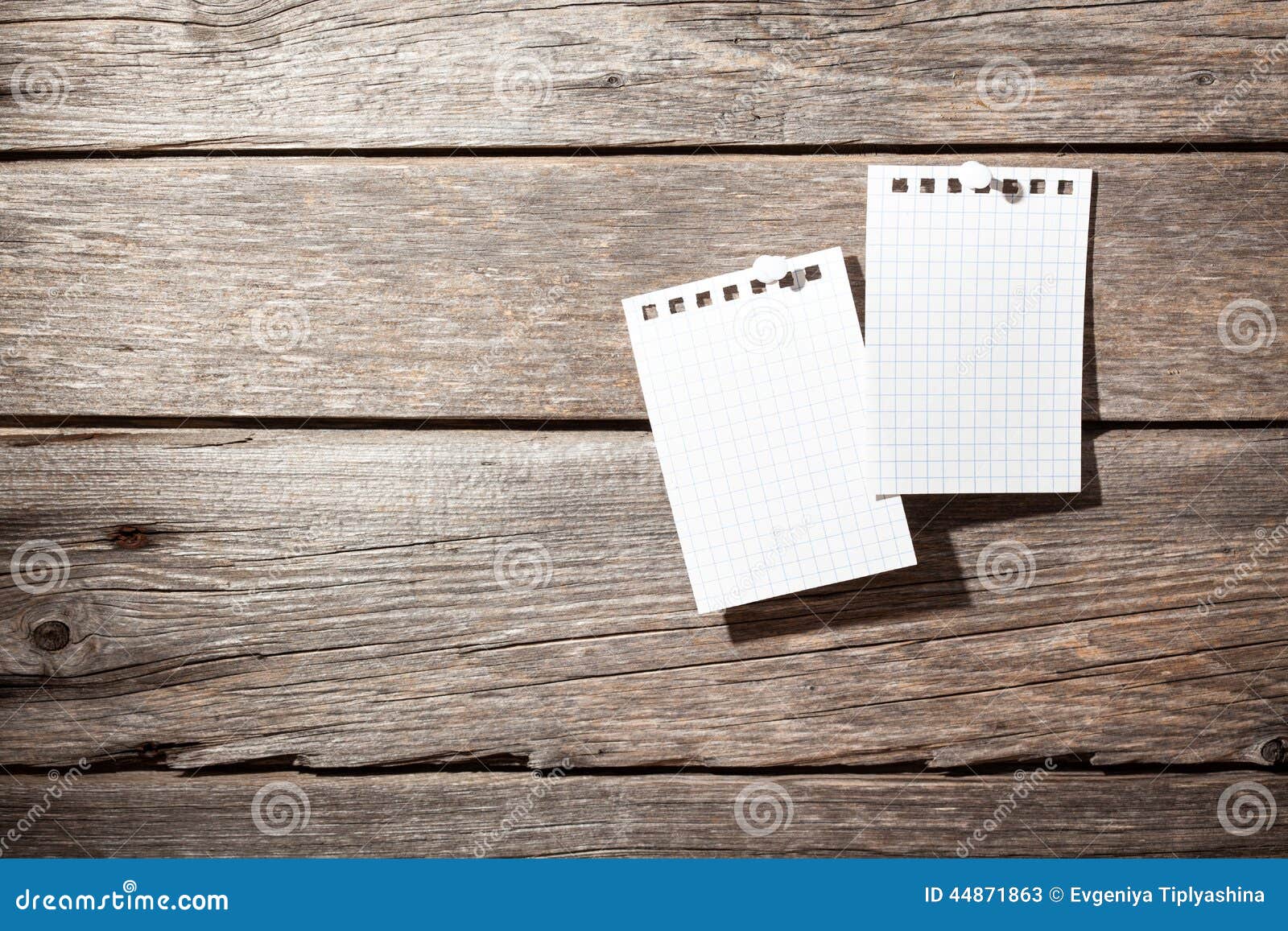 Two paper stock image. Image of certificate, border, sticker - 44871863
