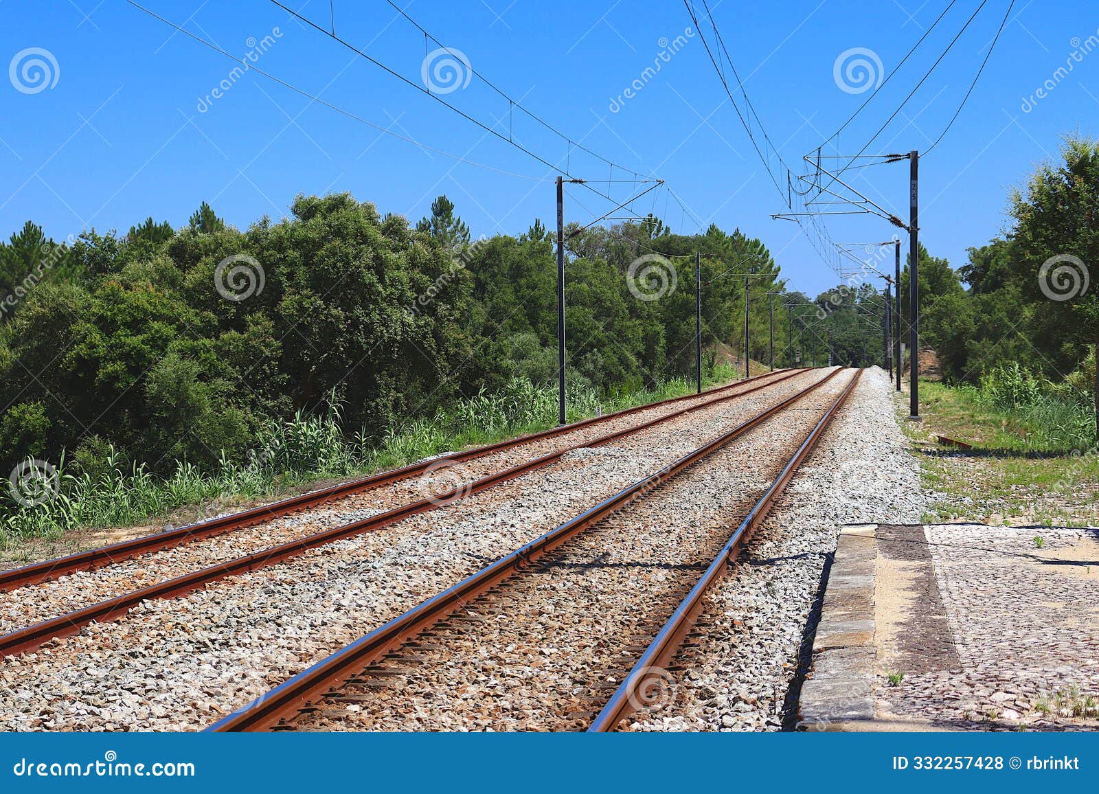 Two Parallel Railway Tracks Running through a Wooded Area, with Trees ...