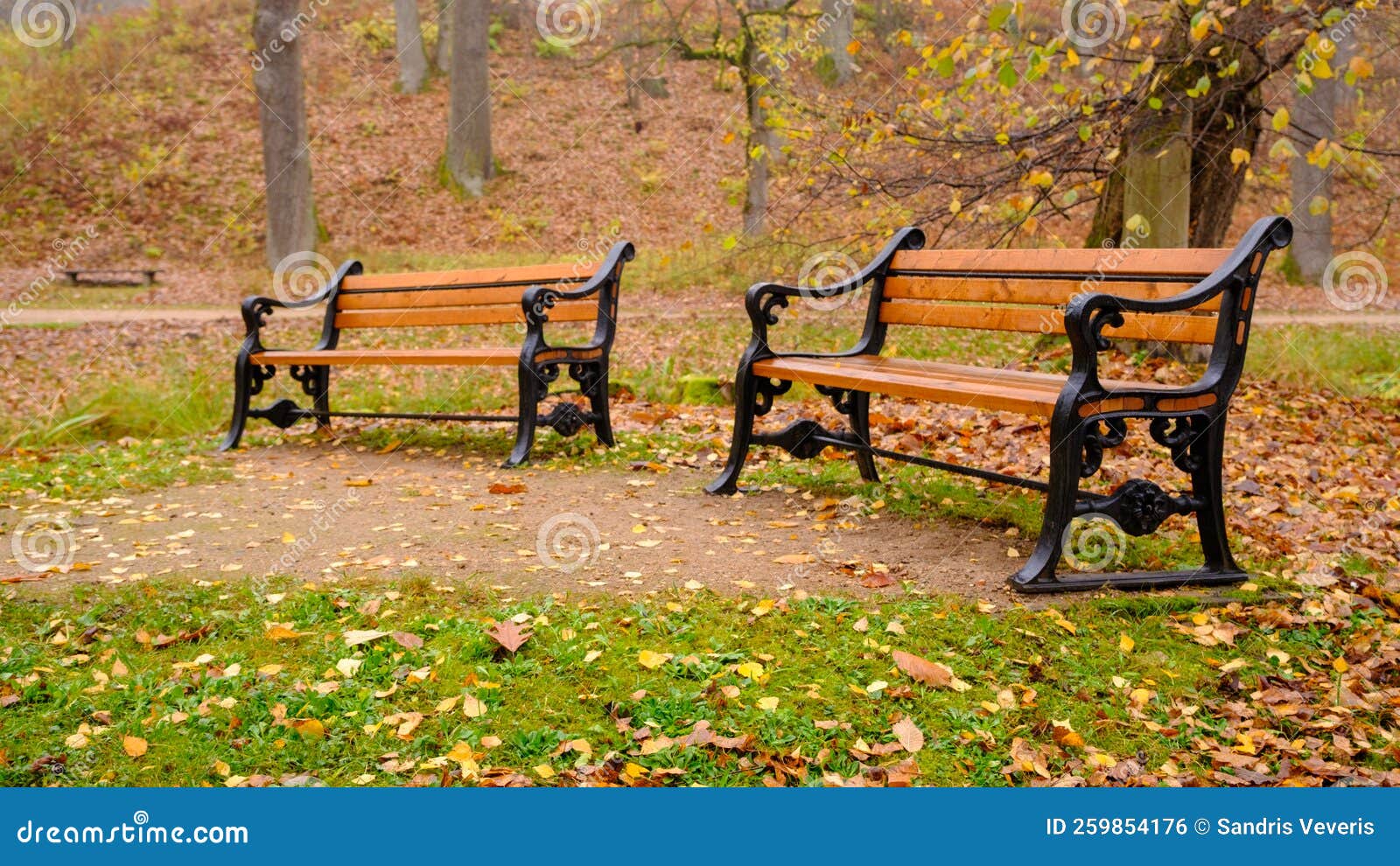 Two Park Chairs Covered with Autumn Foliage. Elegant Steps with ...