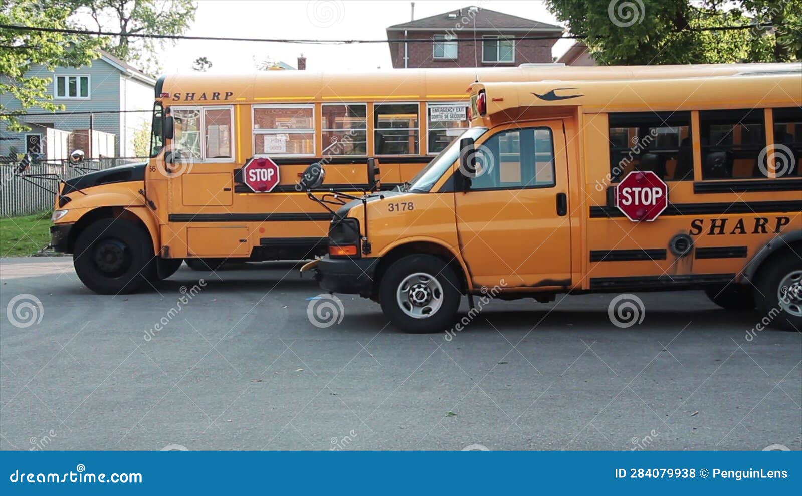 Two Parked Sharp Yellow and Black School Buses with Black Stripes Shot ...