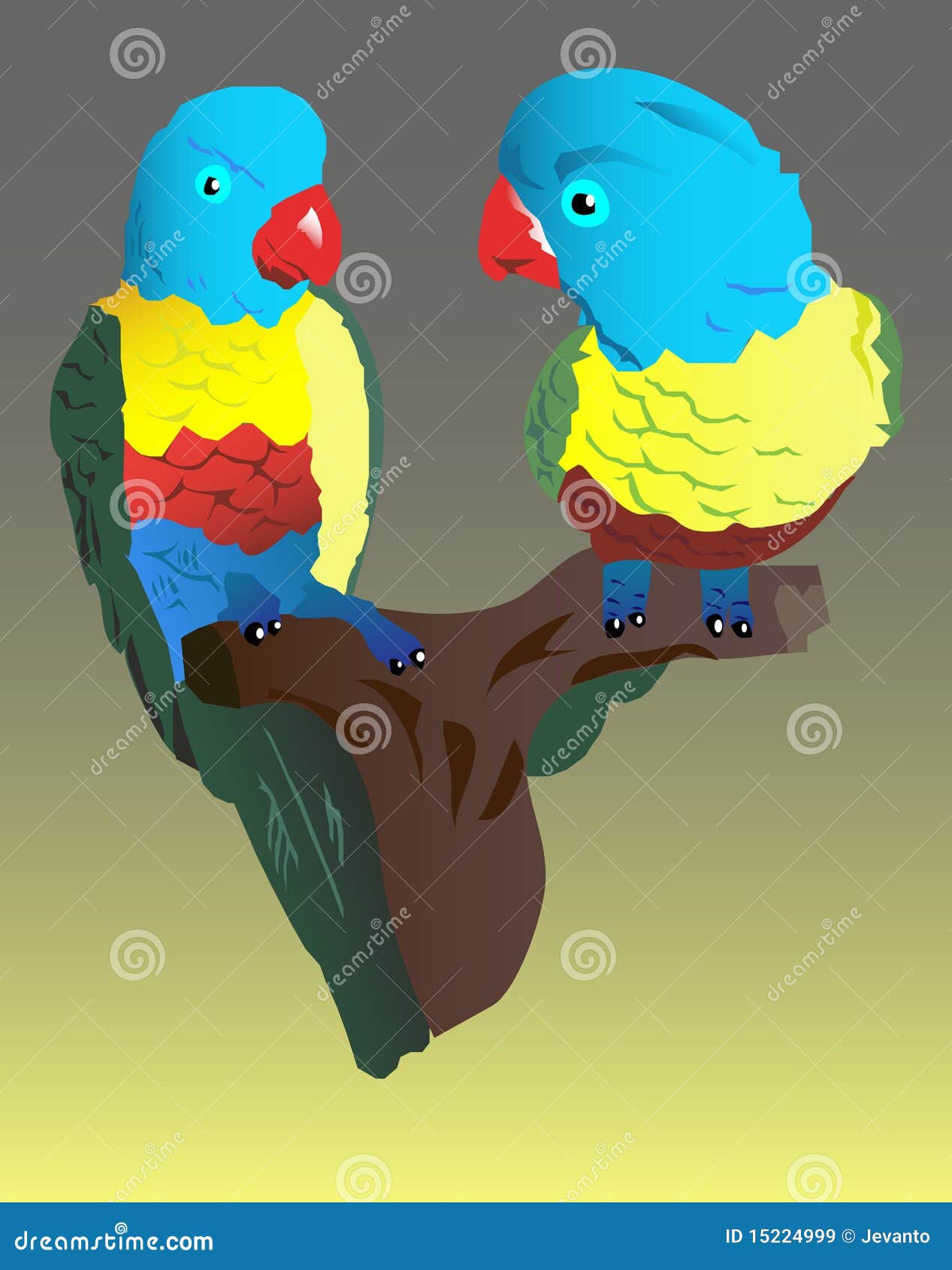 Two parrots stock vector. Illustration of feather, beak - 15224999