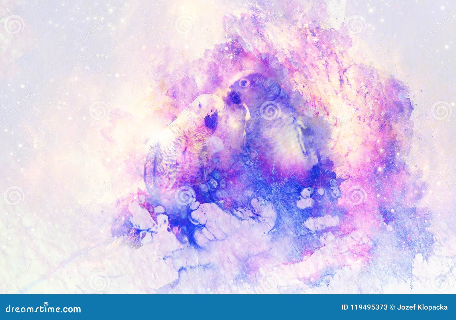 Two Parrots in Cosmic Space. Computer Collage. Stock Illustration ...