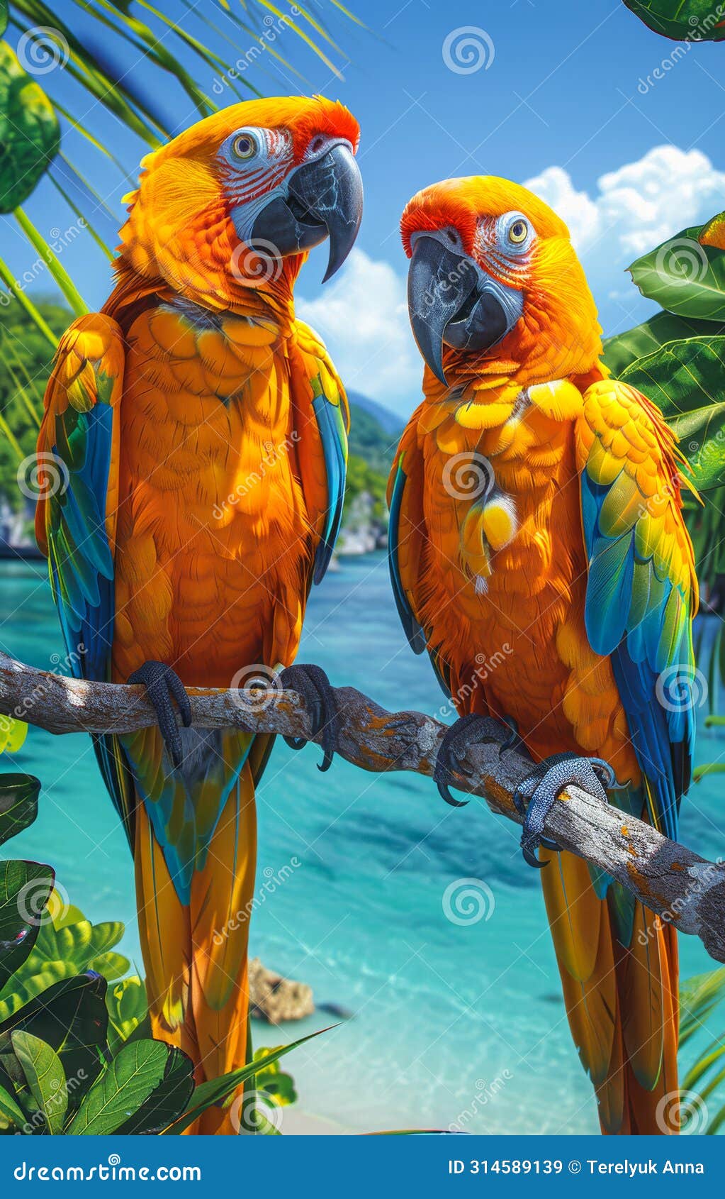 Two Parrots are Sitting on Branch Against the Backdrop of Beautiful ...