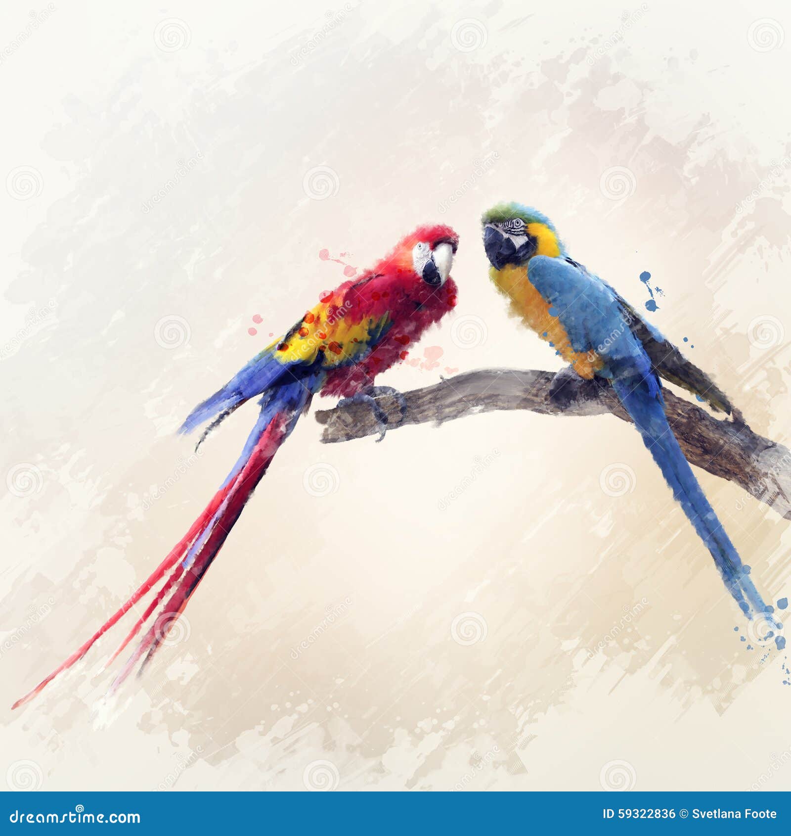 Two Parrots Watercolor stock illustration. Illustration of nature ...