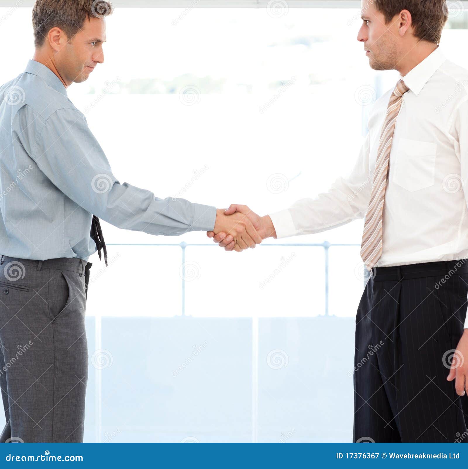 Two Partners Concluding a Deal by Shaking Hands Stock Image - Image of ...