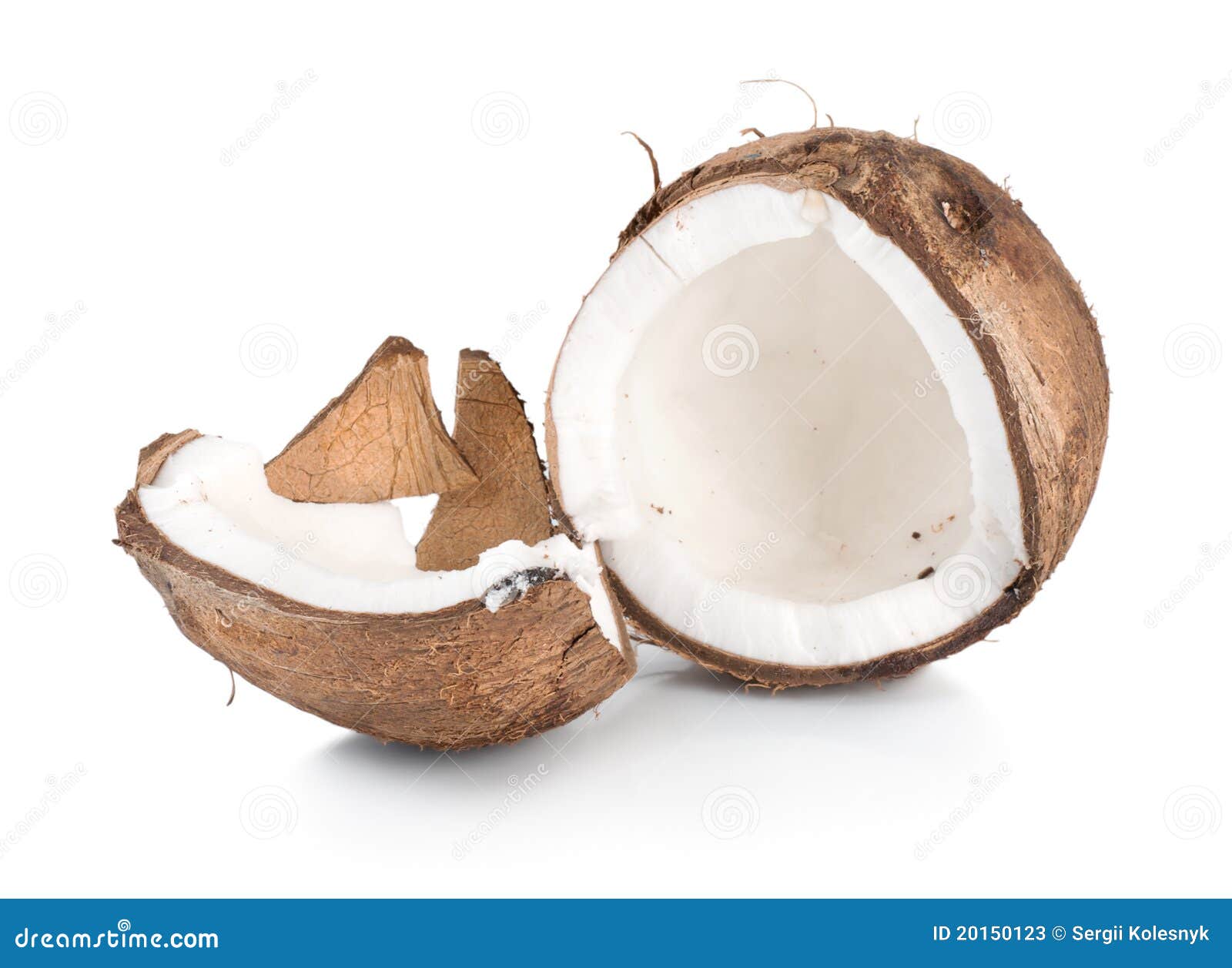 Two parts of a coconut stock image. Image of brown, isolated - 20150123