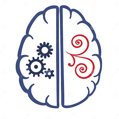 Two parts of human brain stock vector. Illustration of brain - 30995012