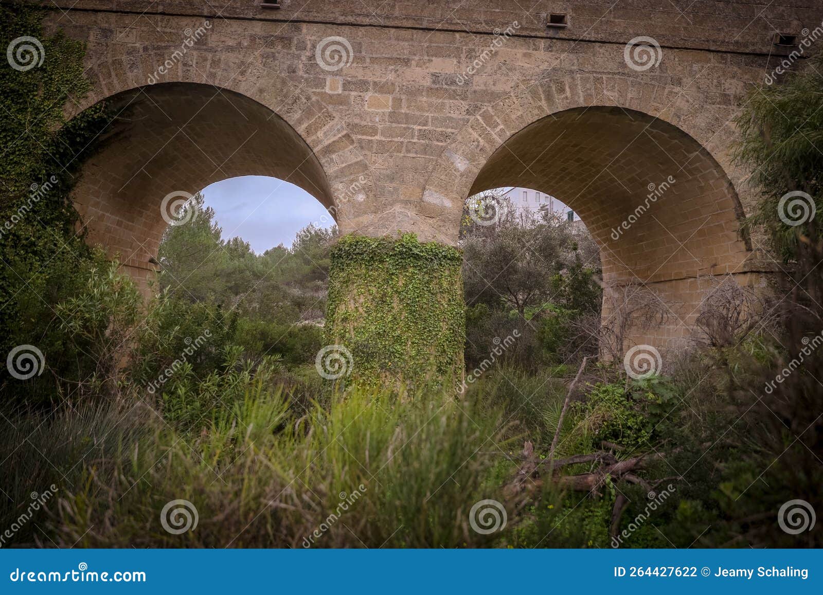 Two Passages in Nature of a Bridge Stock Photo - Image of grass, nature ...
