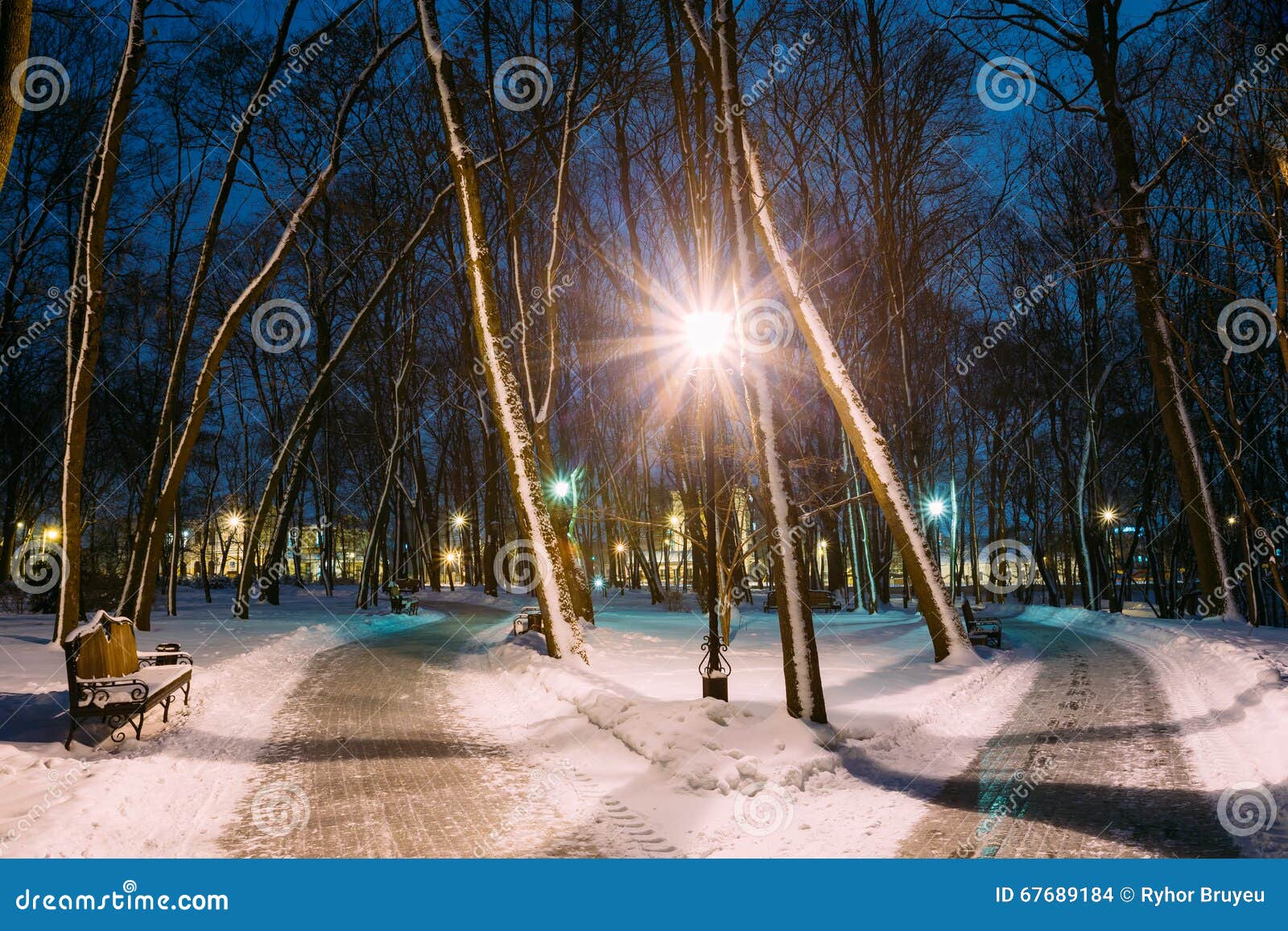 Two Path, Way in Snowy City Park in Light of Lanterns at Evening Stock ...