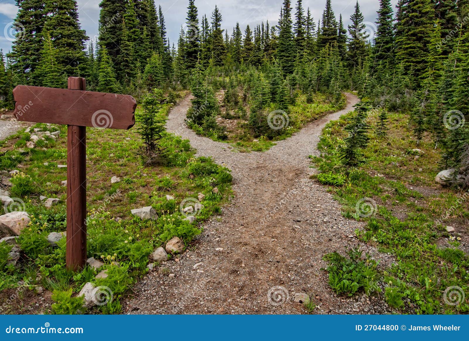 Two Paths with Blank Sign stock photo. Image of direction - 27044800