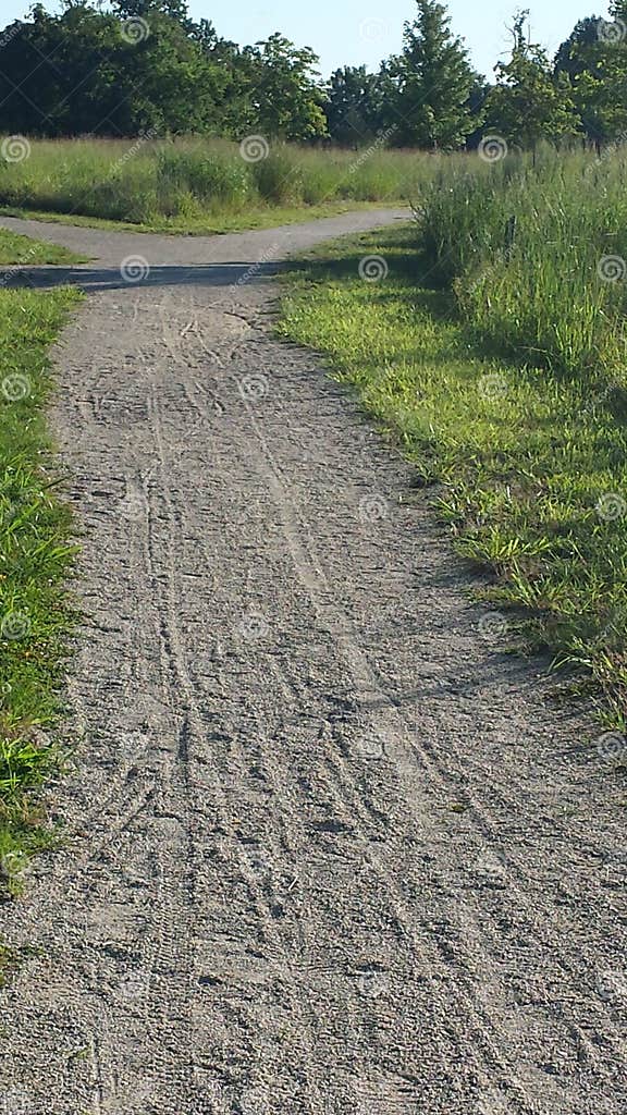 Two paths stock photo. Image of dirt, trail, park, paths - 97060156