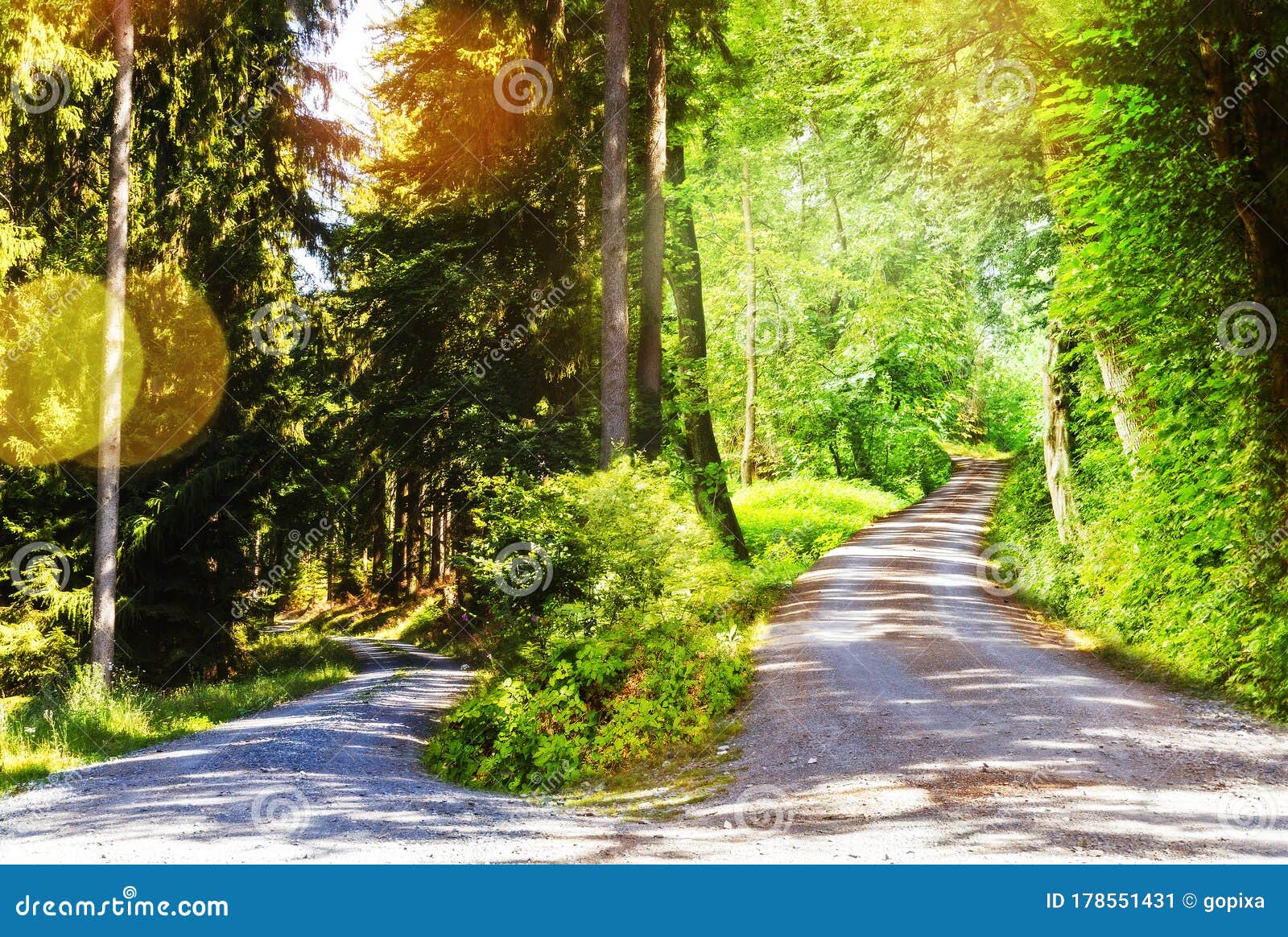 Two Paths Lead in Different Directions Stock Image - Image of ...