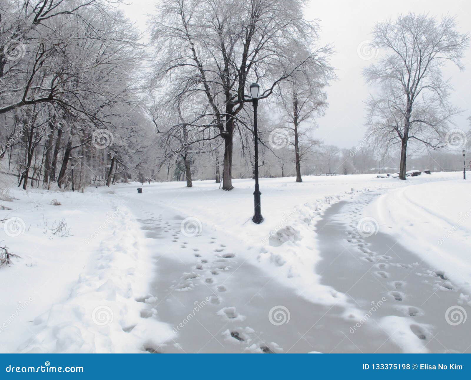 Two paths in the snow stock photo. Image of winter, landscape - 133375198