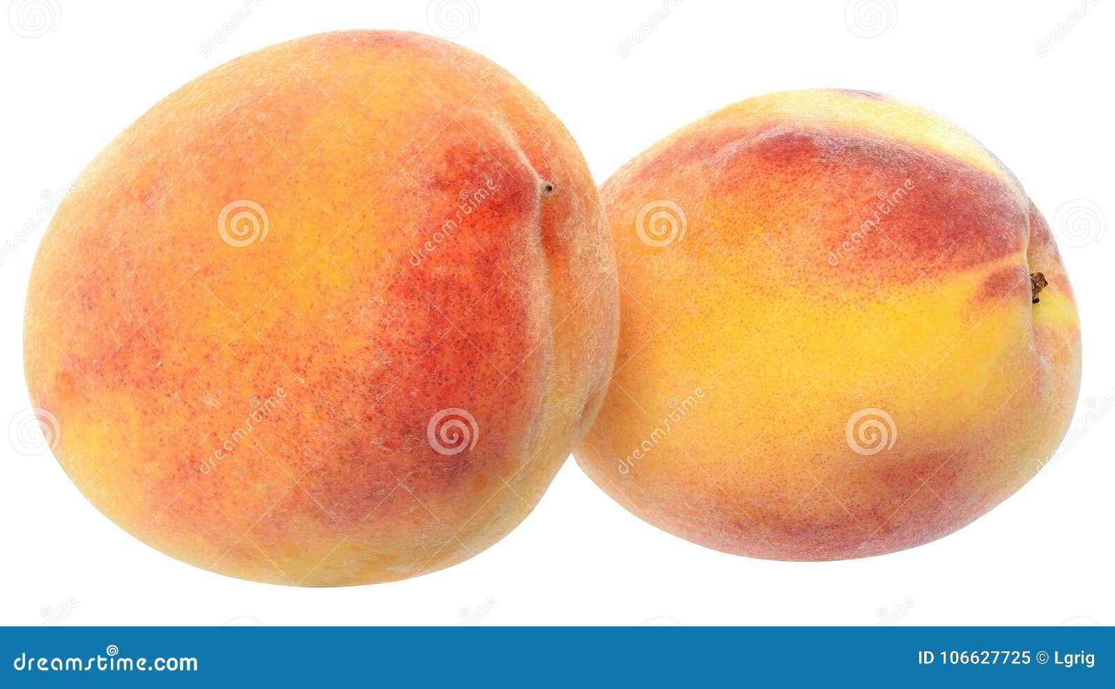 Two Peach Close Up Isolated Stock Image - Image of healthy, food: 106627725
