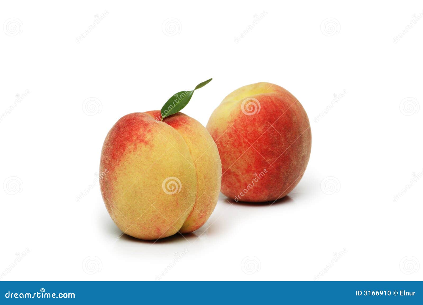 Two peaches isolated stock photo. Image of healthy, ripe - 3166910