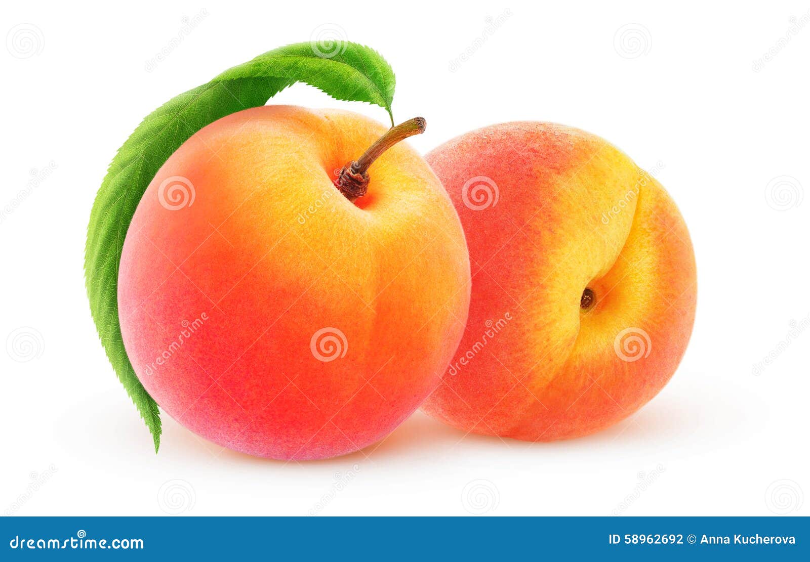 Two peaches stock photo. Image of apricot, antioxidant - 58962692