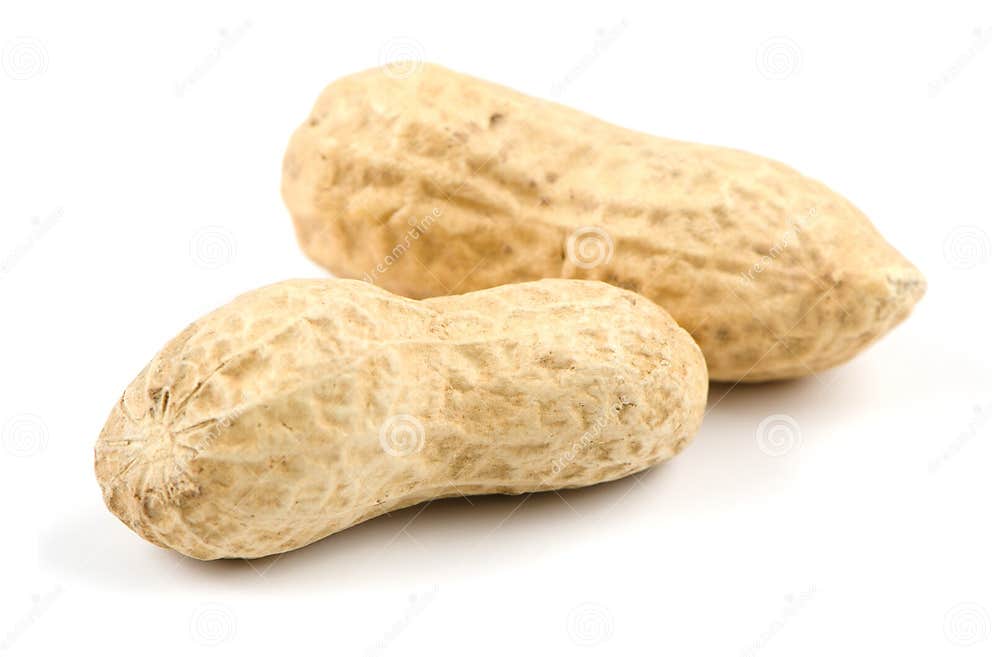 Two peanuts stock image. Image of shell, dropshadow, macro - 20493677