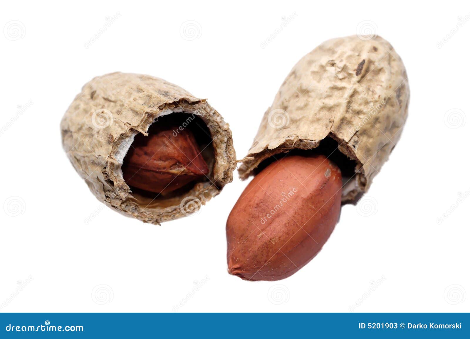 Two peanuts stock image. Image of isolated, seed, brown - 5201903