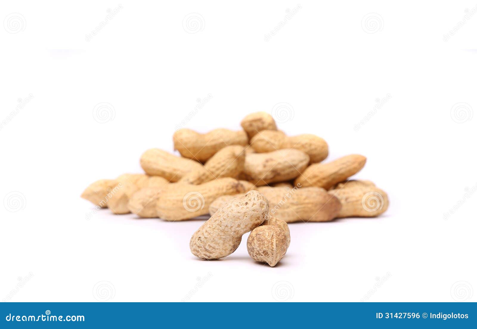 Two peanuts stock photo. Image of peanut, snack, macro - 31427596
