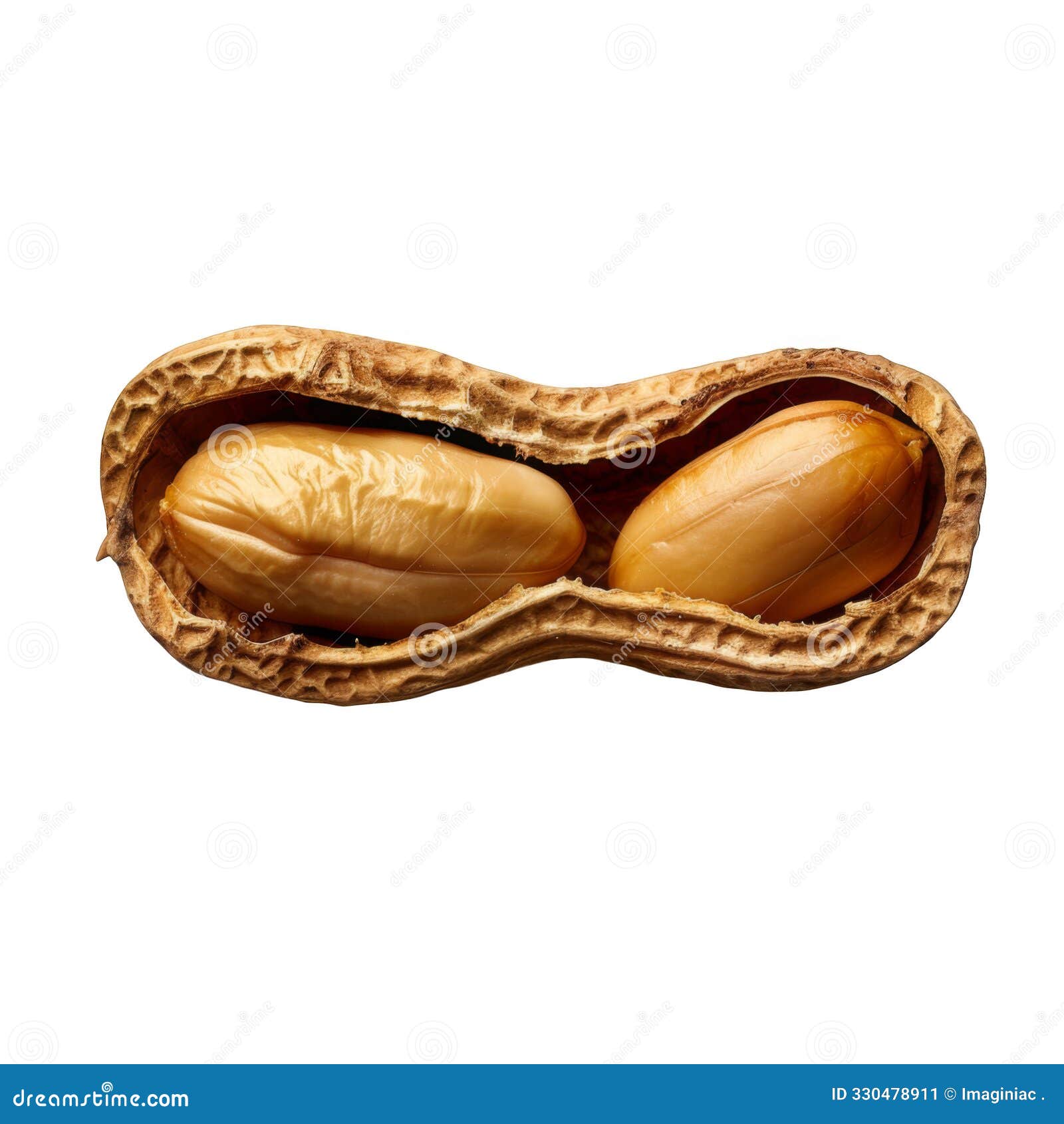 Two Peanuts Inside a Cracked Shell Stock Illustration - Illustration of ...