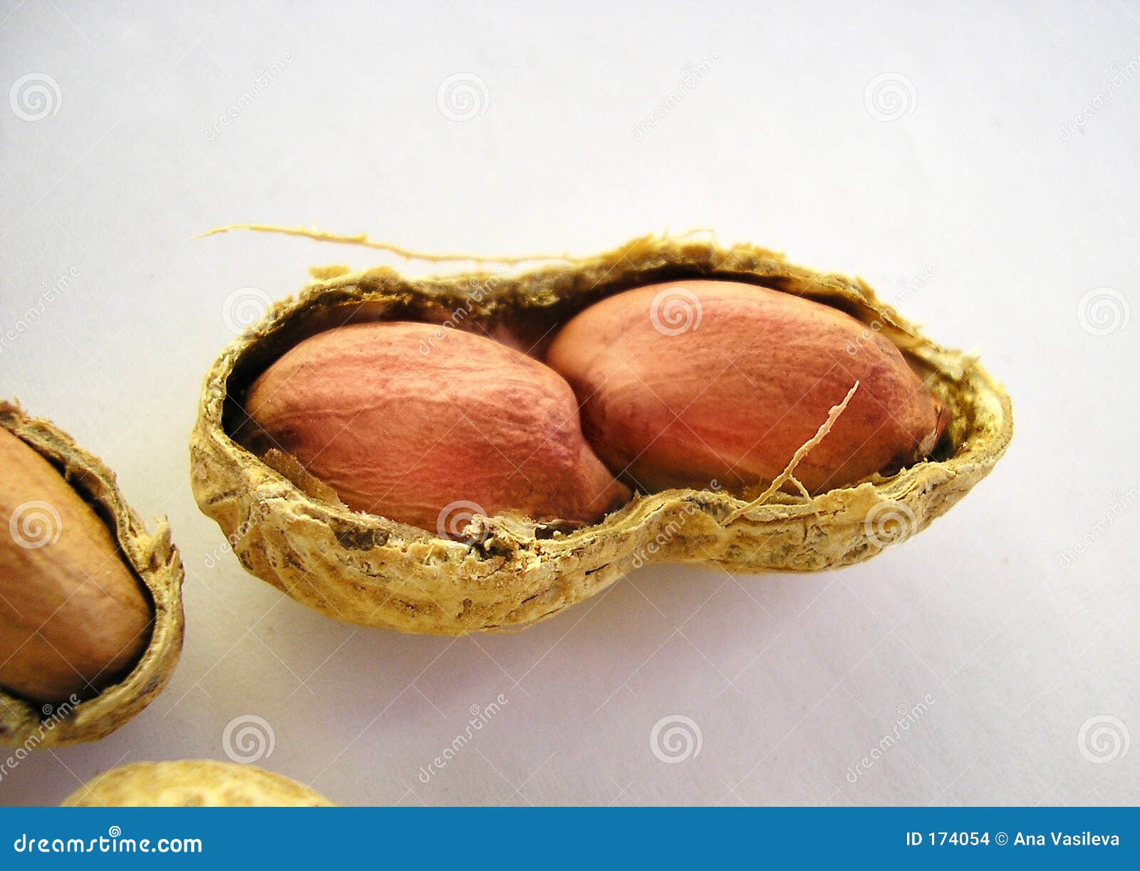 Two peanuts in a shell stock photo. Image of peanuts, objects - 174054