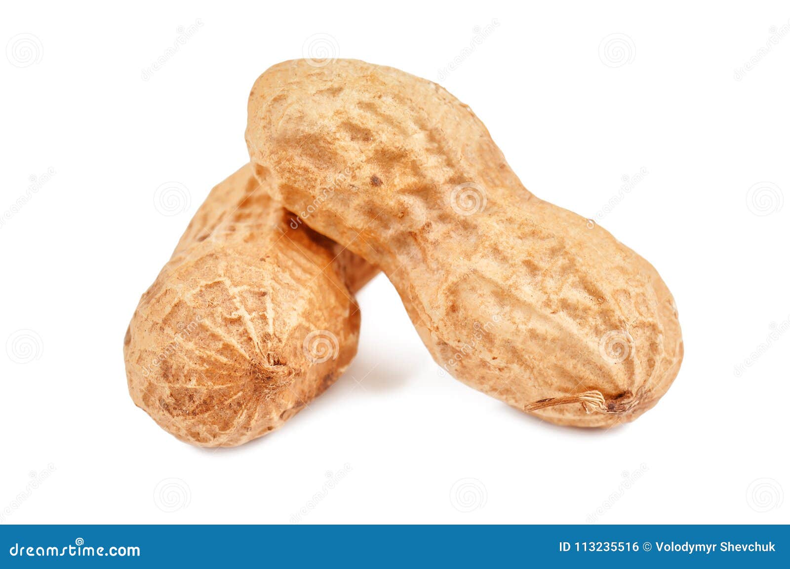 Two Peanuts in Shell on White Stock Photo - Image of vegetarian ...