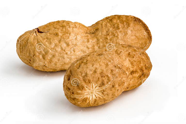 Two peanuts - isolated stock image. Image of alimentary - 109266879