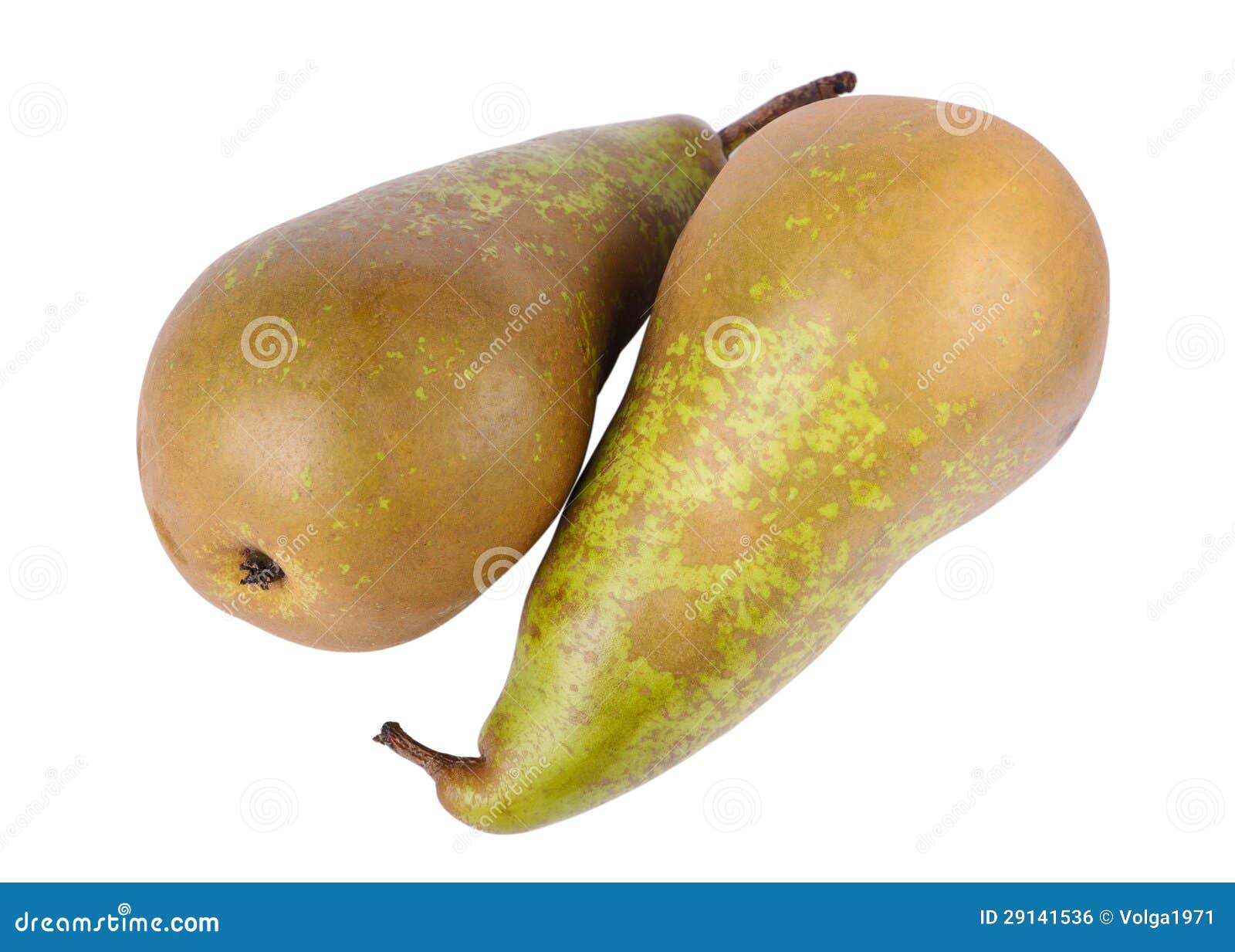 Two pear stock photo. Image of vegetarian, tasty, food - 29141536