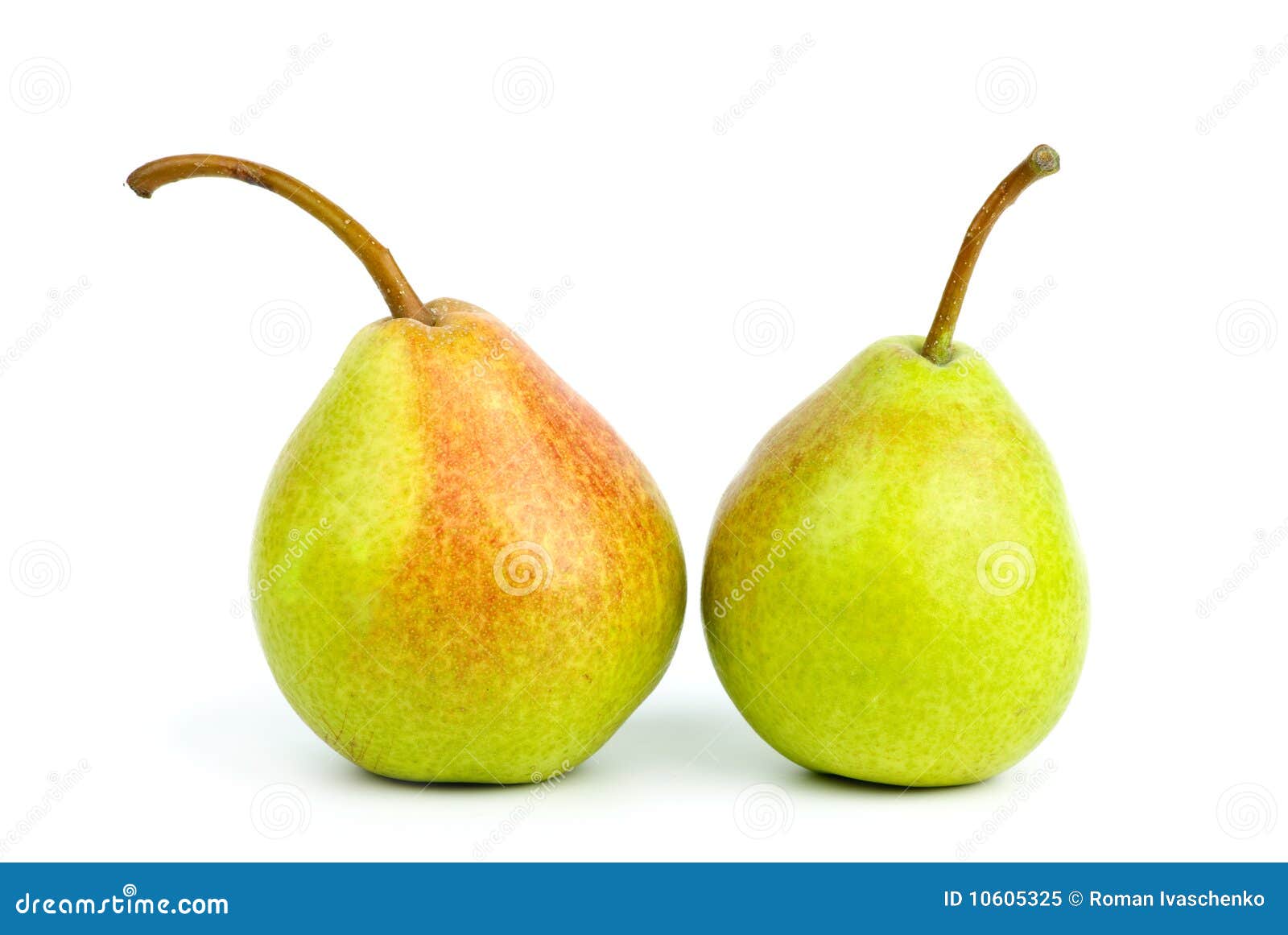 Two pears stock image. Image of sweet, fresh, juicy, food - 10605325