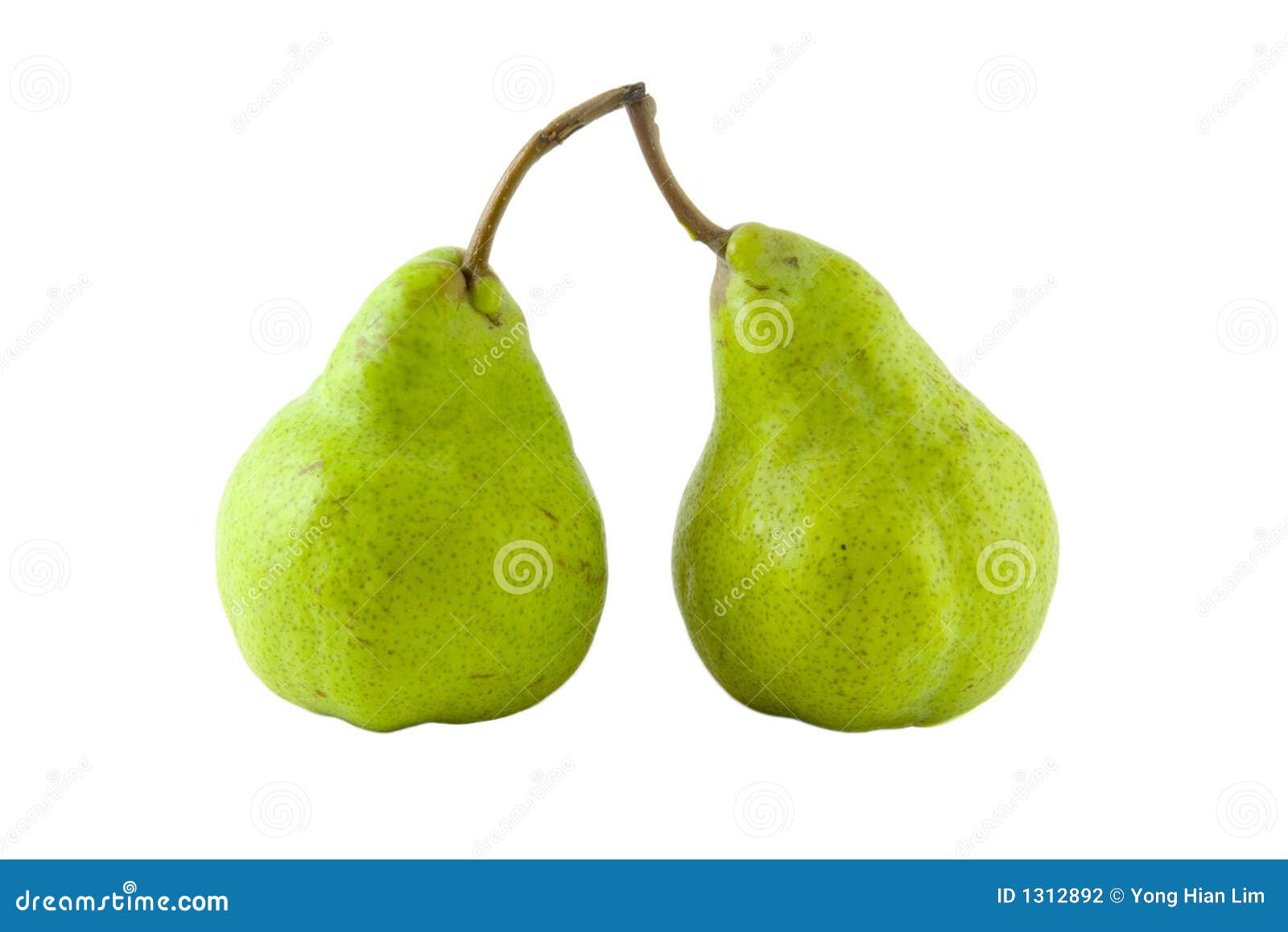 Two pears stock photo. Image of nutrition, fruit, juicy - 1312892