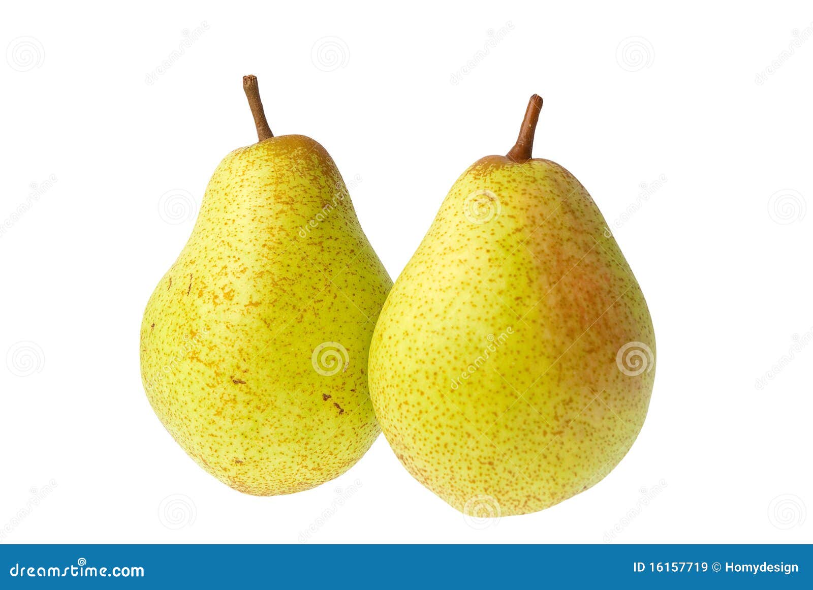 Two pears stock image. Image of snack, fresh, nature - 16157719