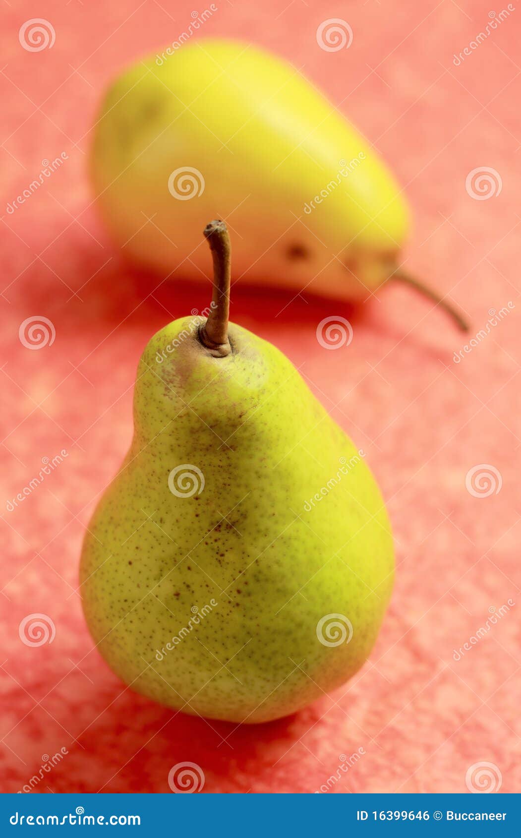 Two pears stock photo. Image of fresh, pair, food, focus - 16399646