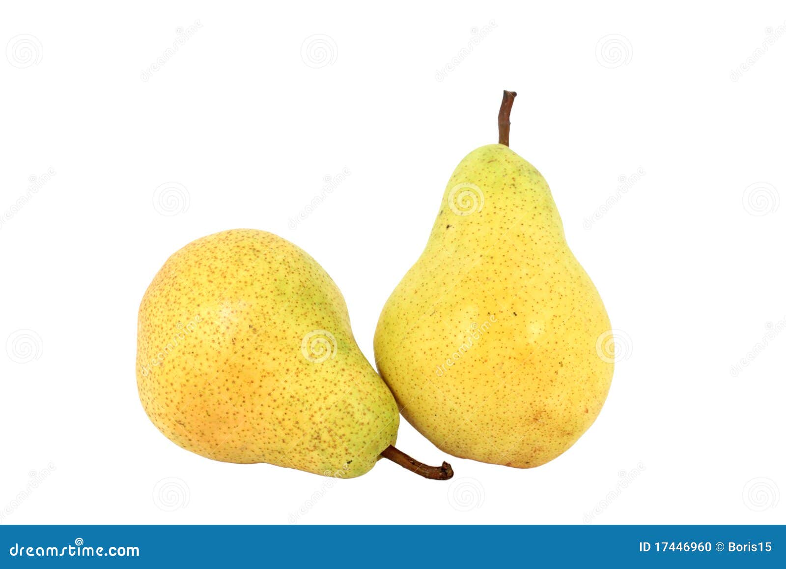 Two pears stock photo. Image of diet, nutrition, juicy - 17446960