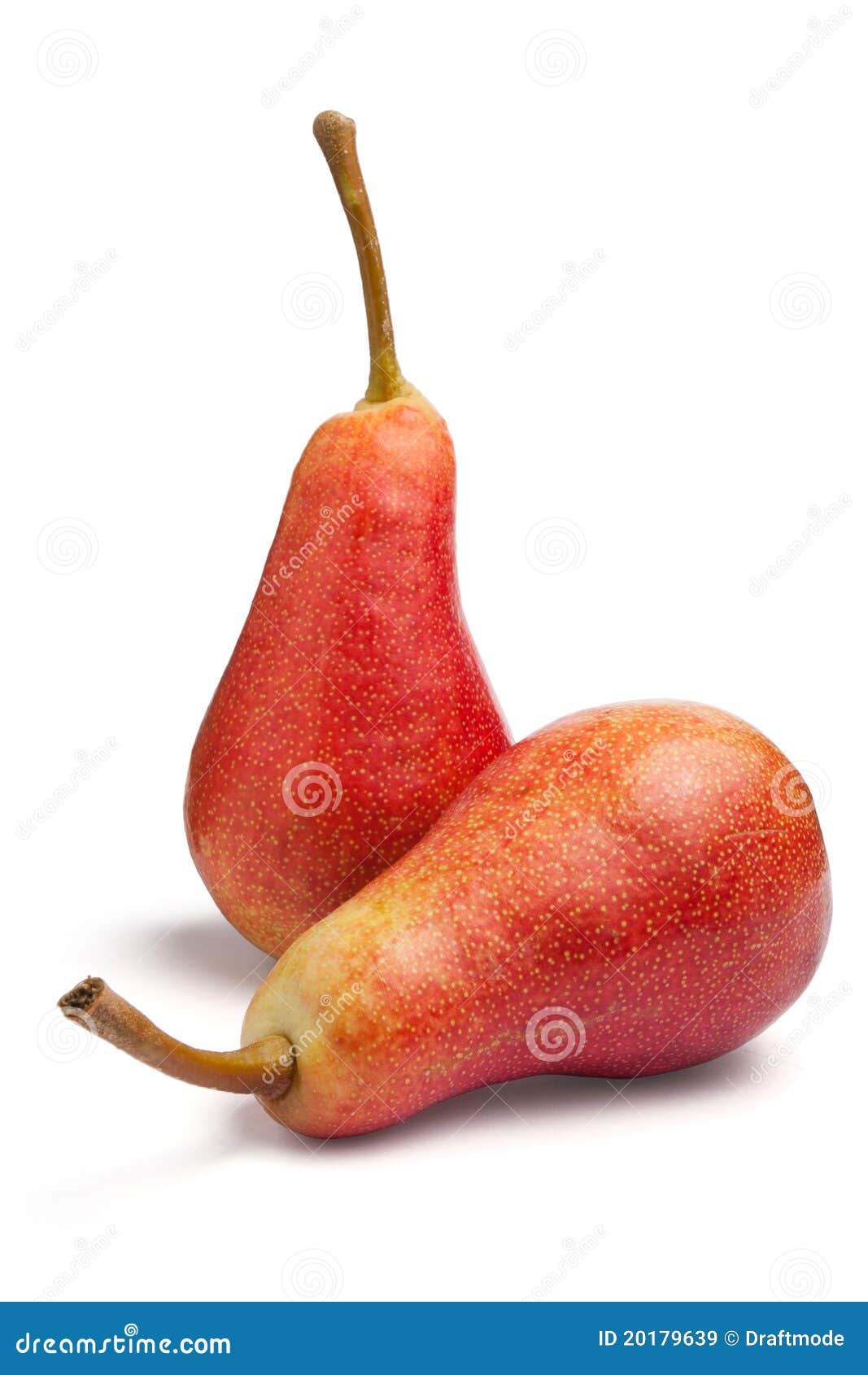 Two pears stock image. Image of bright, color, eating - 20179639