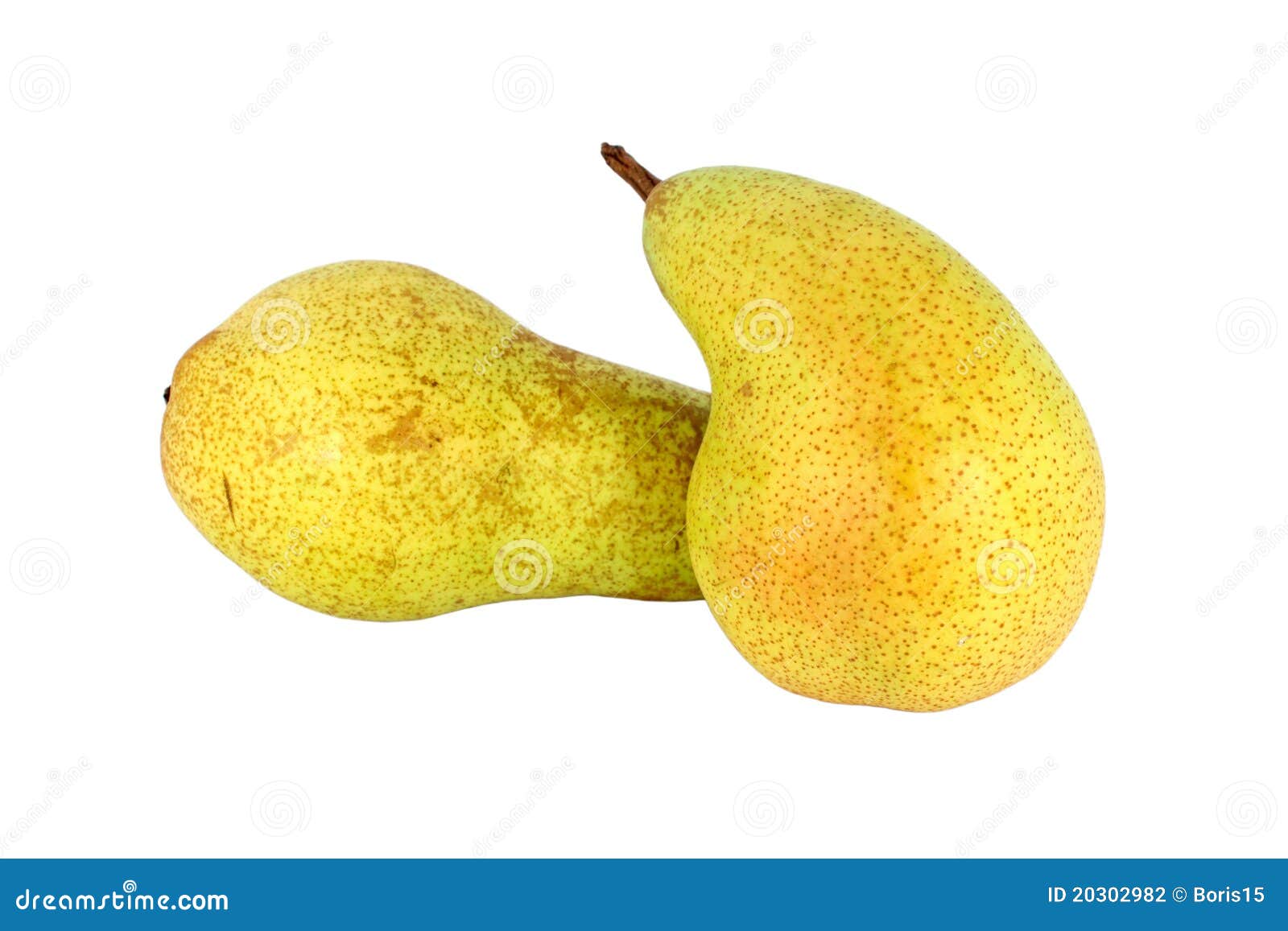 Two pears stock photo. Image of fruit, sweet, closeup - 20302982